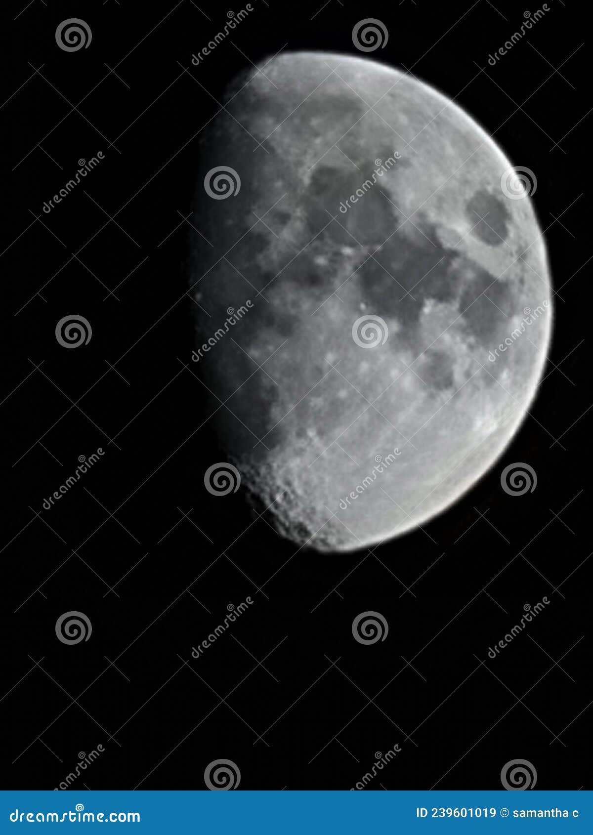 Half moon 100x zoom stock image. Image of midnight, astronomy - 239601019