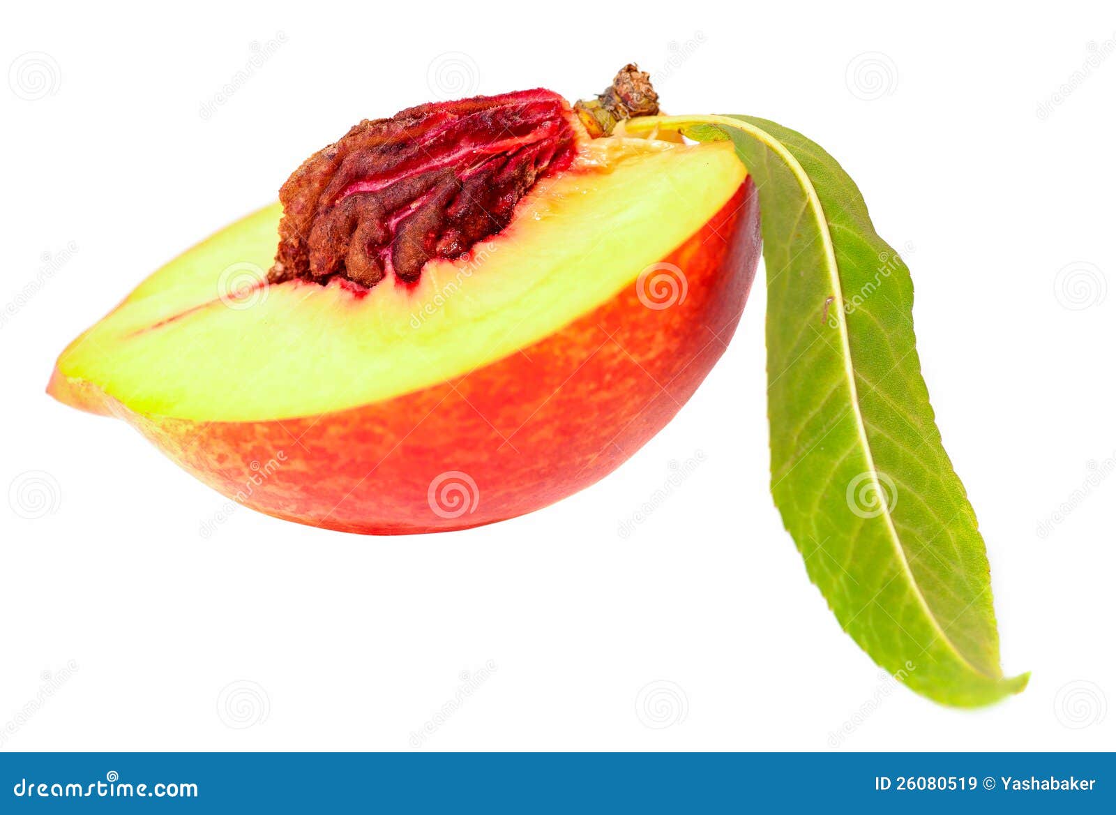 Half of Nectarine Fruit with Leaf Stock Image - Image of nectarine ...