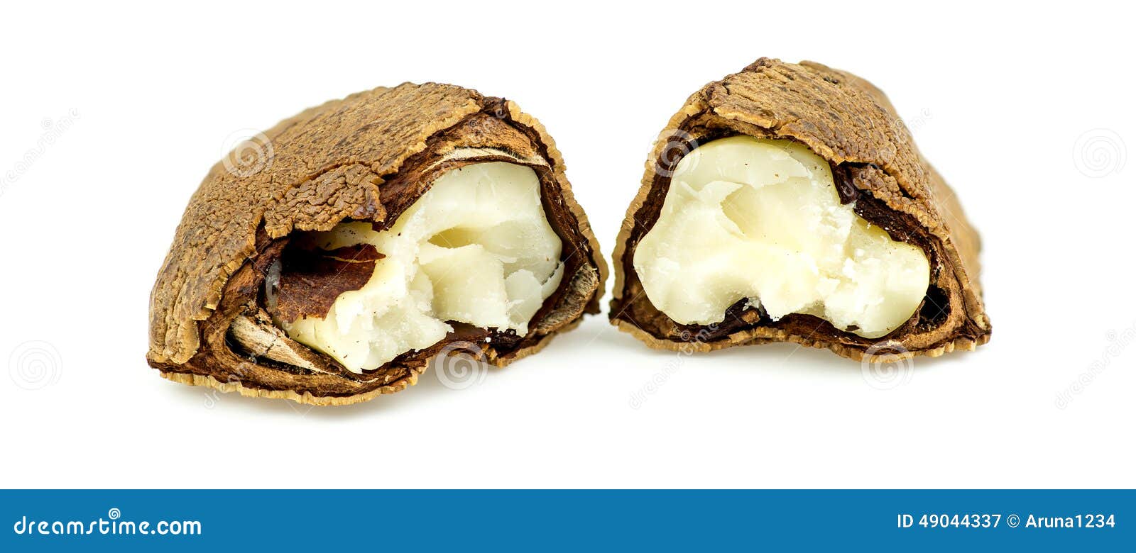 Half Open Brazil Nut with Shell and Flesh Stock Image - Image of crack ...