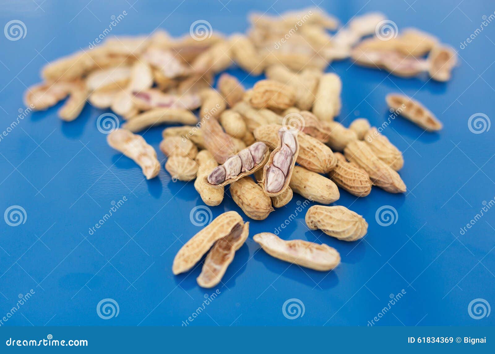 Open Penut Stock Photos - Free & Royalty-Free Stock Photos from Dreamstime