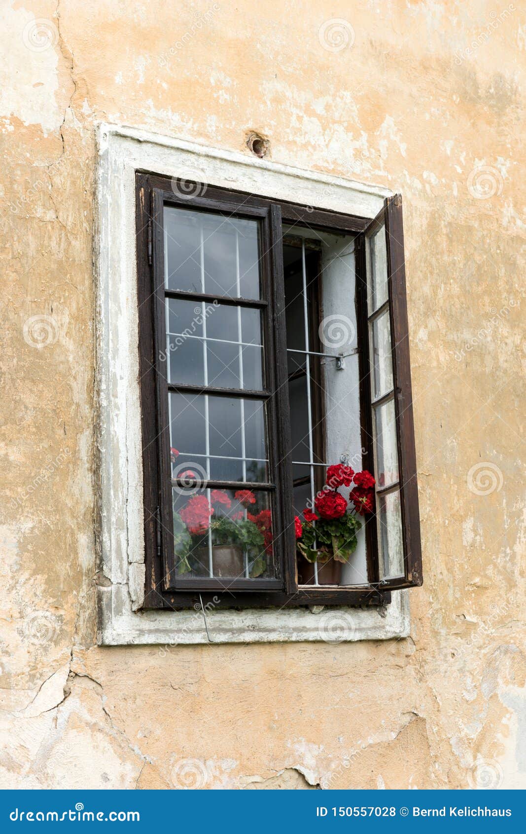 Half-open Window with Flowers of a Building Stock Photo - Image of ...