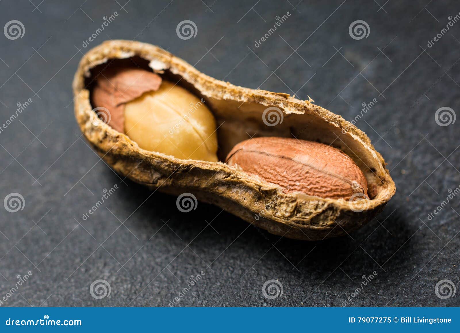 Half Opened Peanut Shell Showing Contents Close Up View Stock Image ...