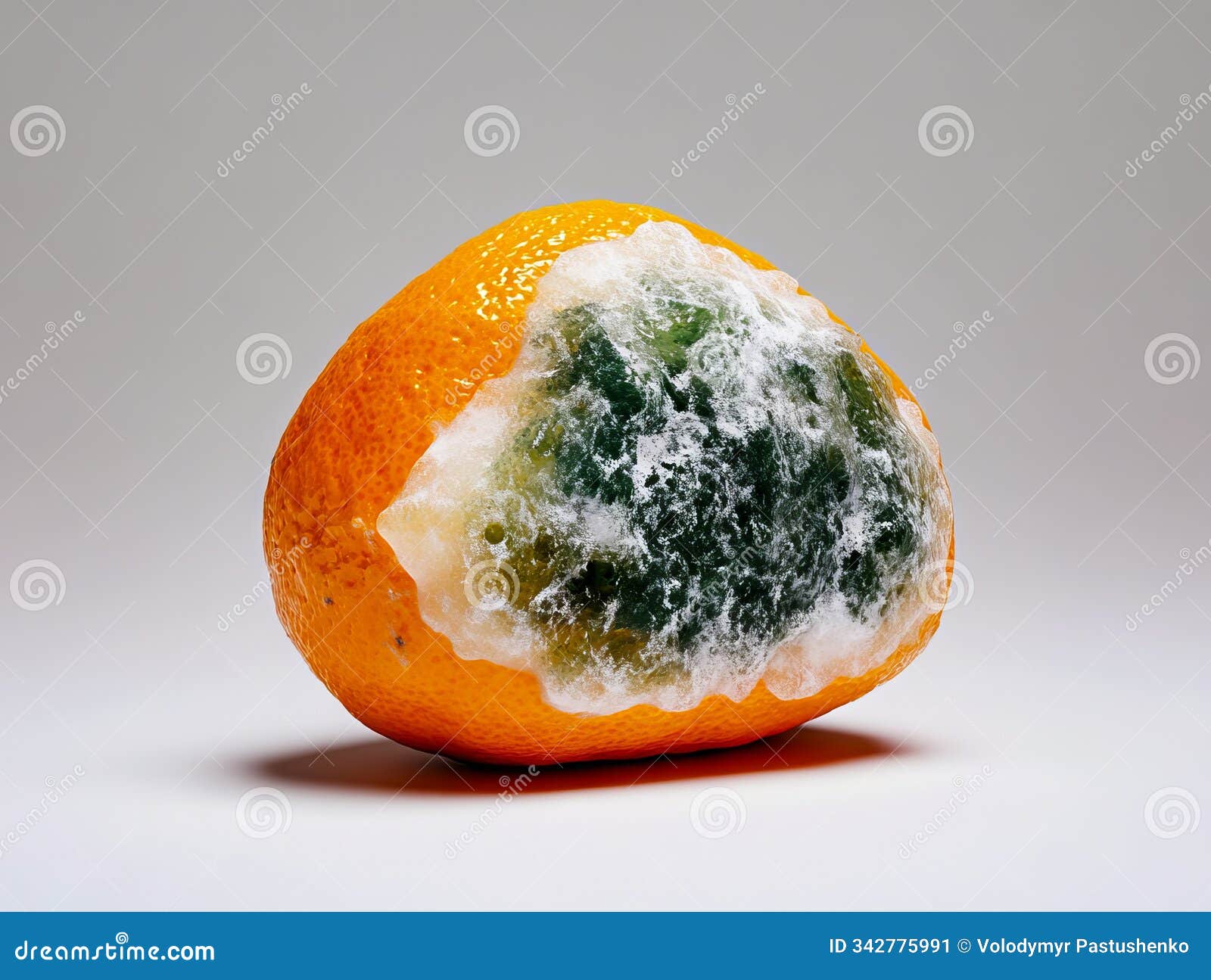 A Half of an Orange with Mold on it Stock Image - Image of point, areas ...