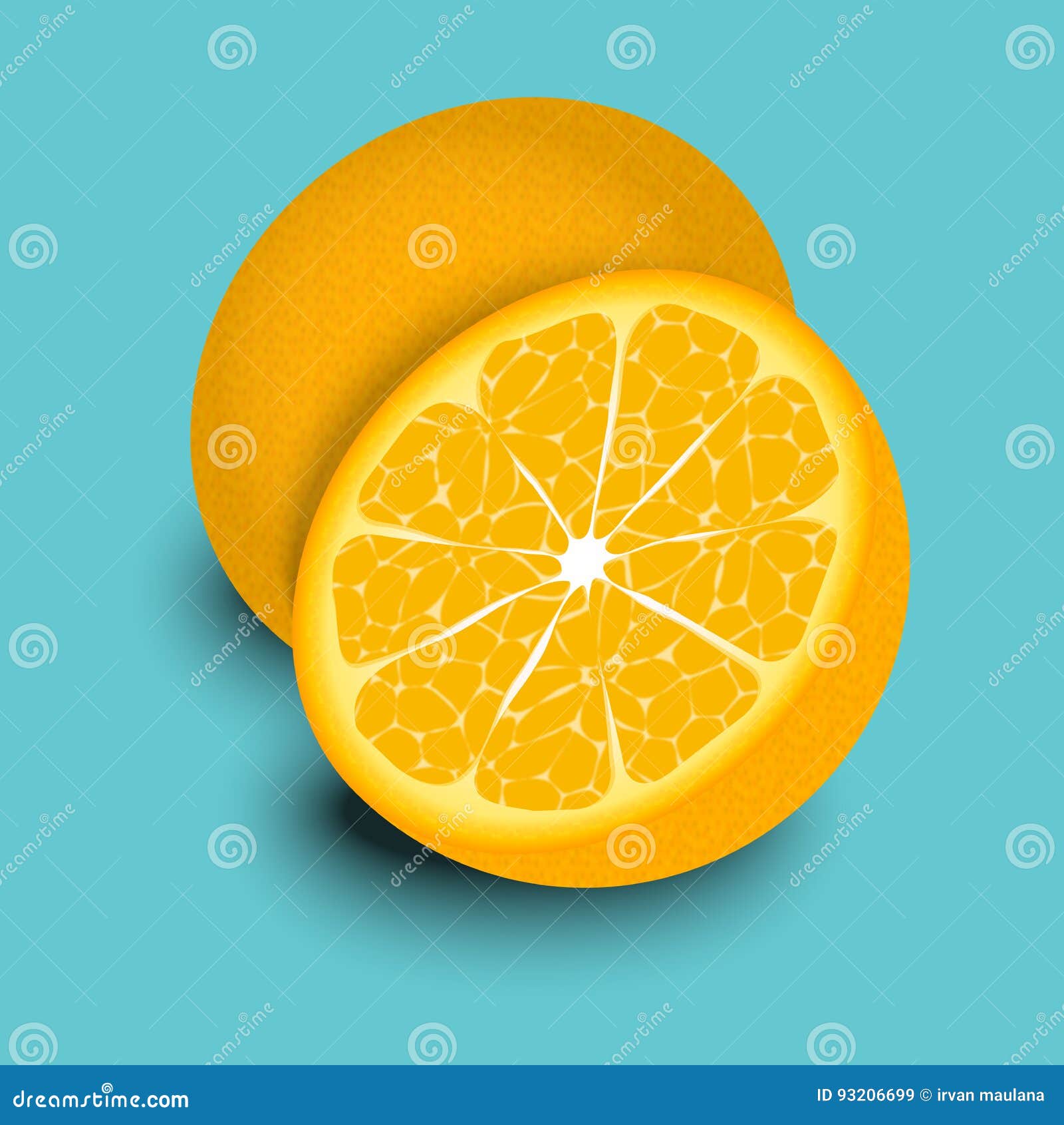 Half of Oranges stock illustration. Illustration of nature - 93206699