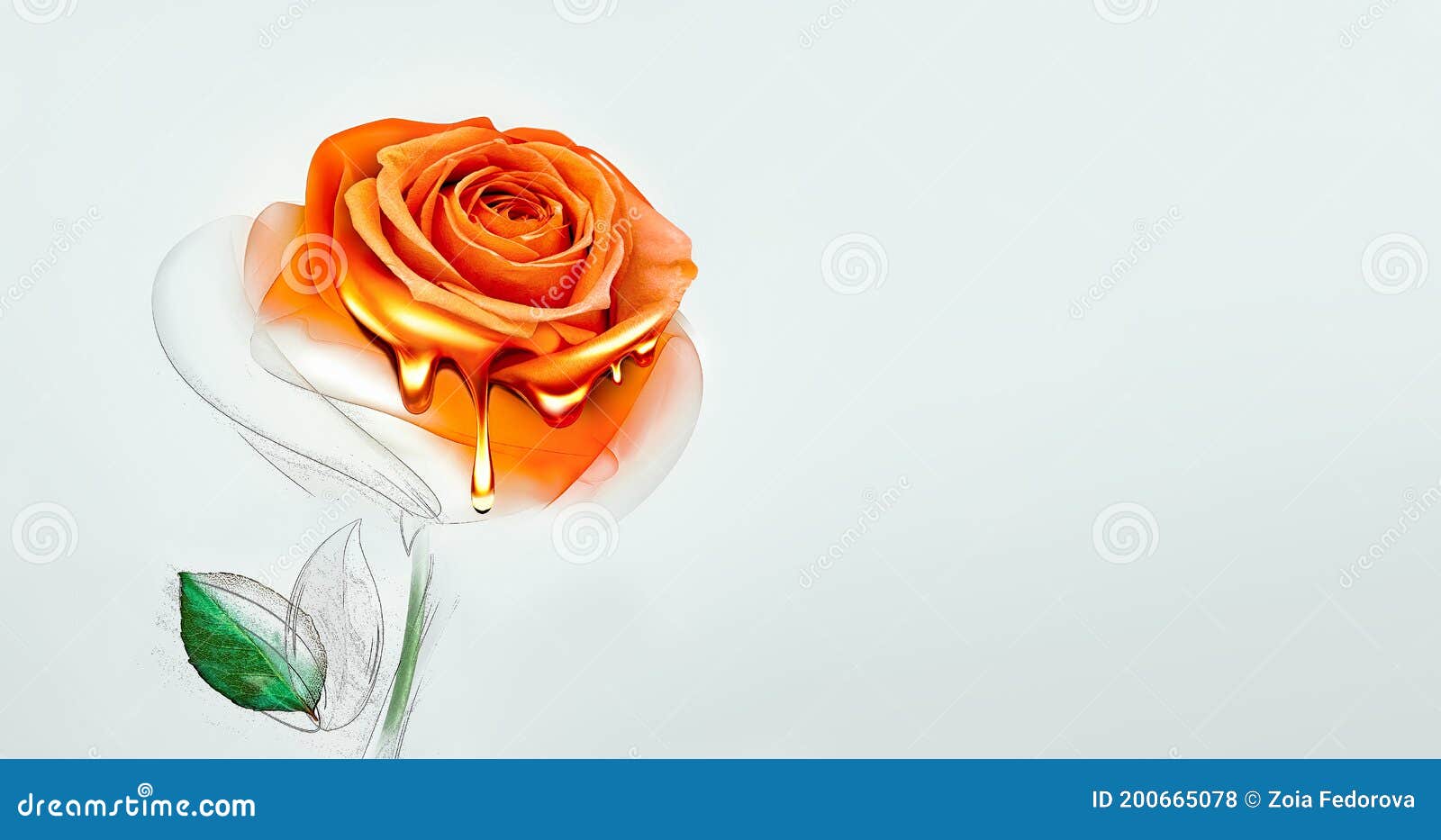 Dripping Of Rose Oil Vector Illustration | CartoonDealer.com #31233440
