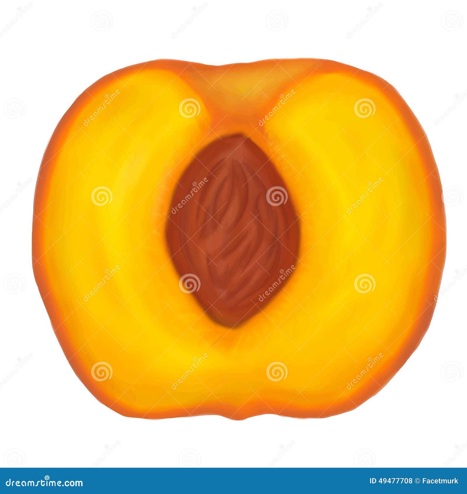 Half of a Peach Illustration Stock Vector - Illustration of isolated ...