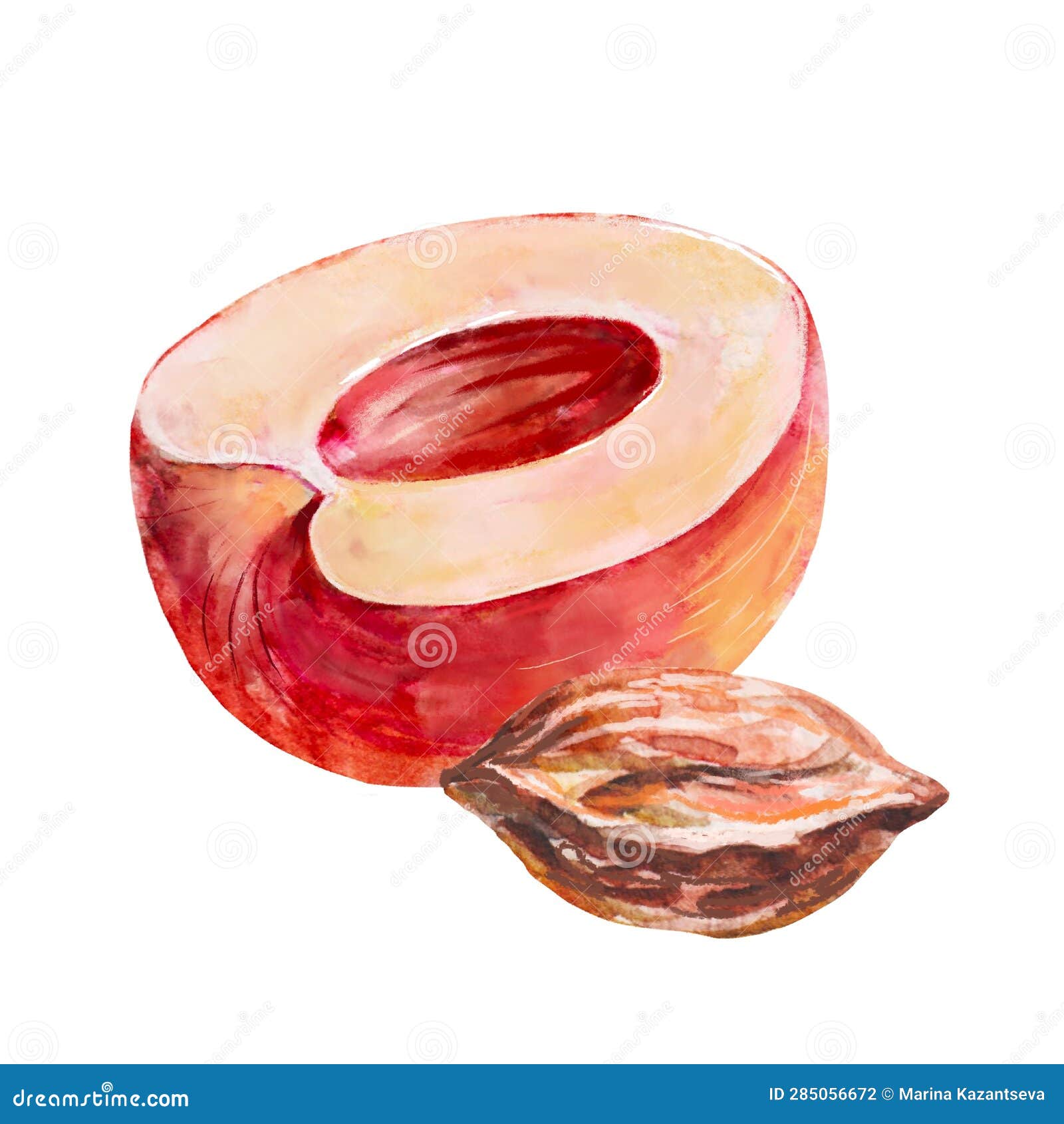 Half Peach with Pit, Fruit Illustration Stock Illustration ...
