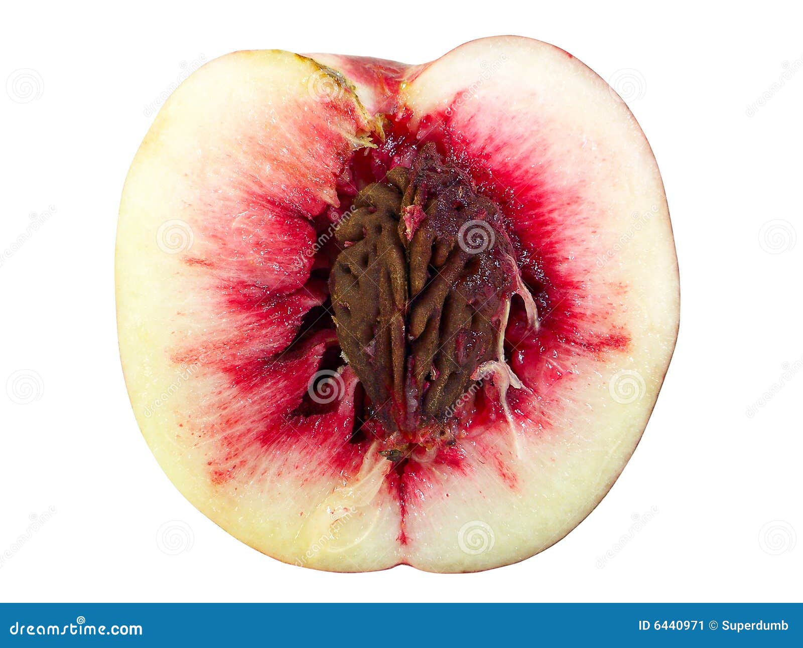 Half A Peach Royalty-Free Stock Photography | CartoonDealer.com #26001329