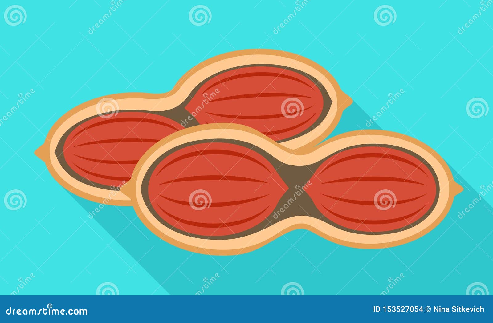 Peanut In Shell Realistic Icon. Groundnut Peeled And Unpeeled. Monkey ...