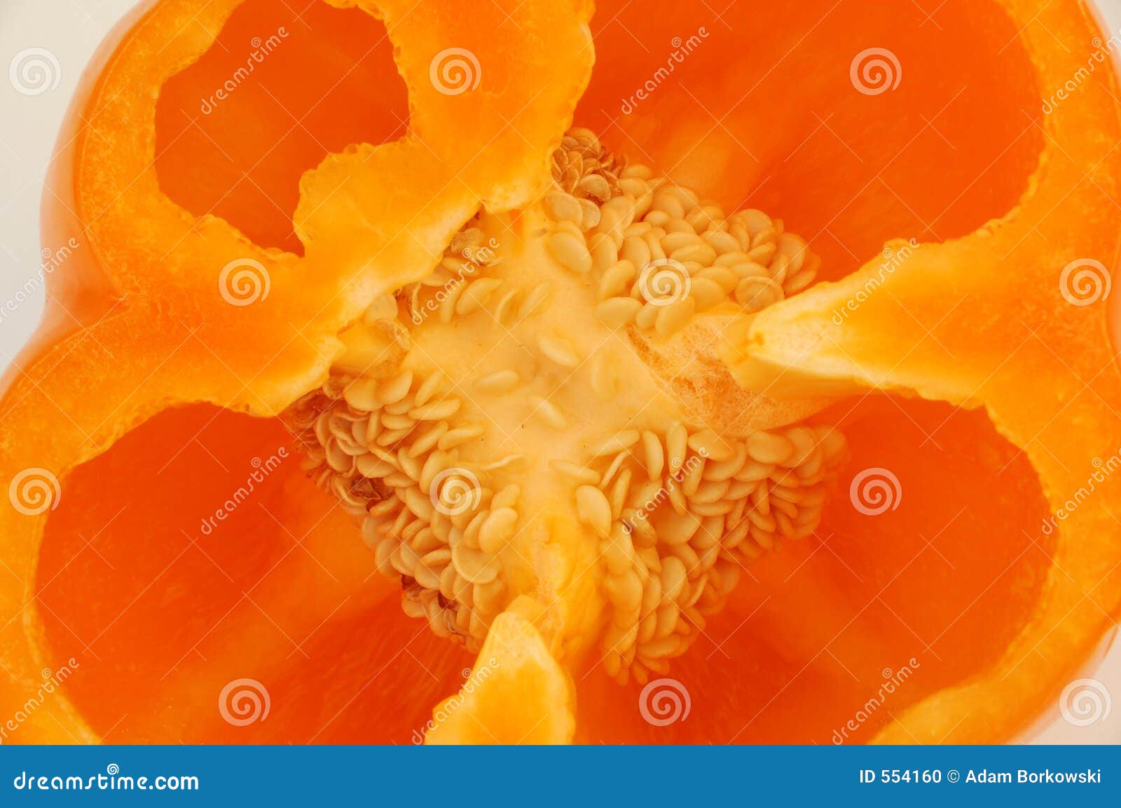 Half pepper - inside stock photo. Image of food, restaurant - 554160