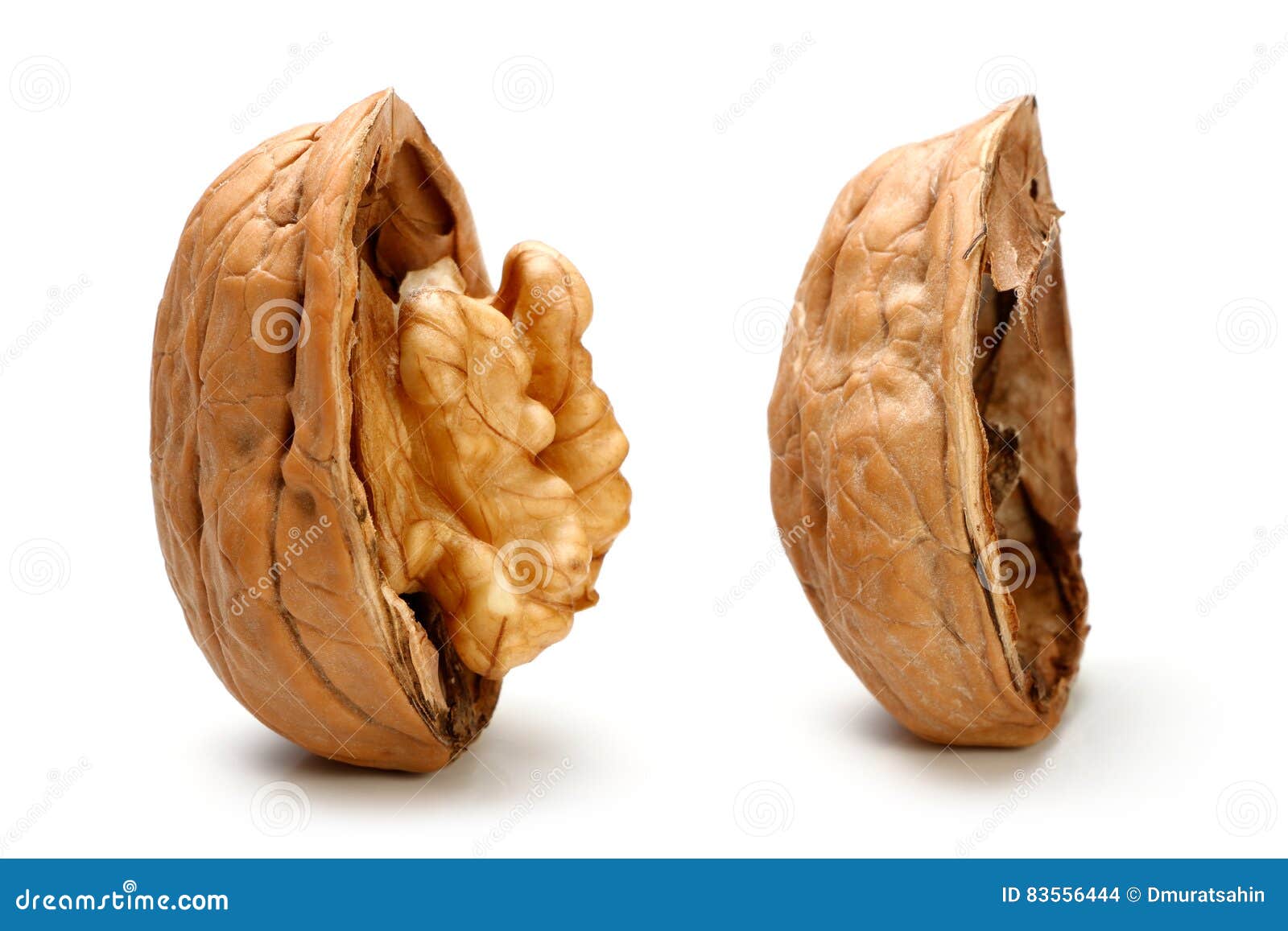 Half a piece of walnut. stock photo. Image of healthy - 83556444