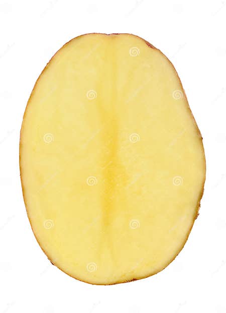Half of Potato Isolated on White Background Stock Image - Image of ...