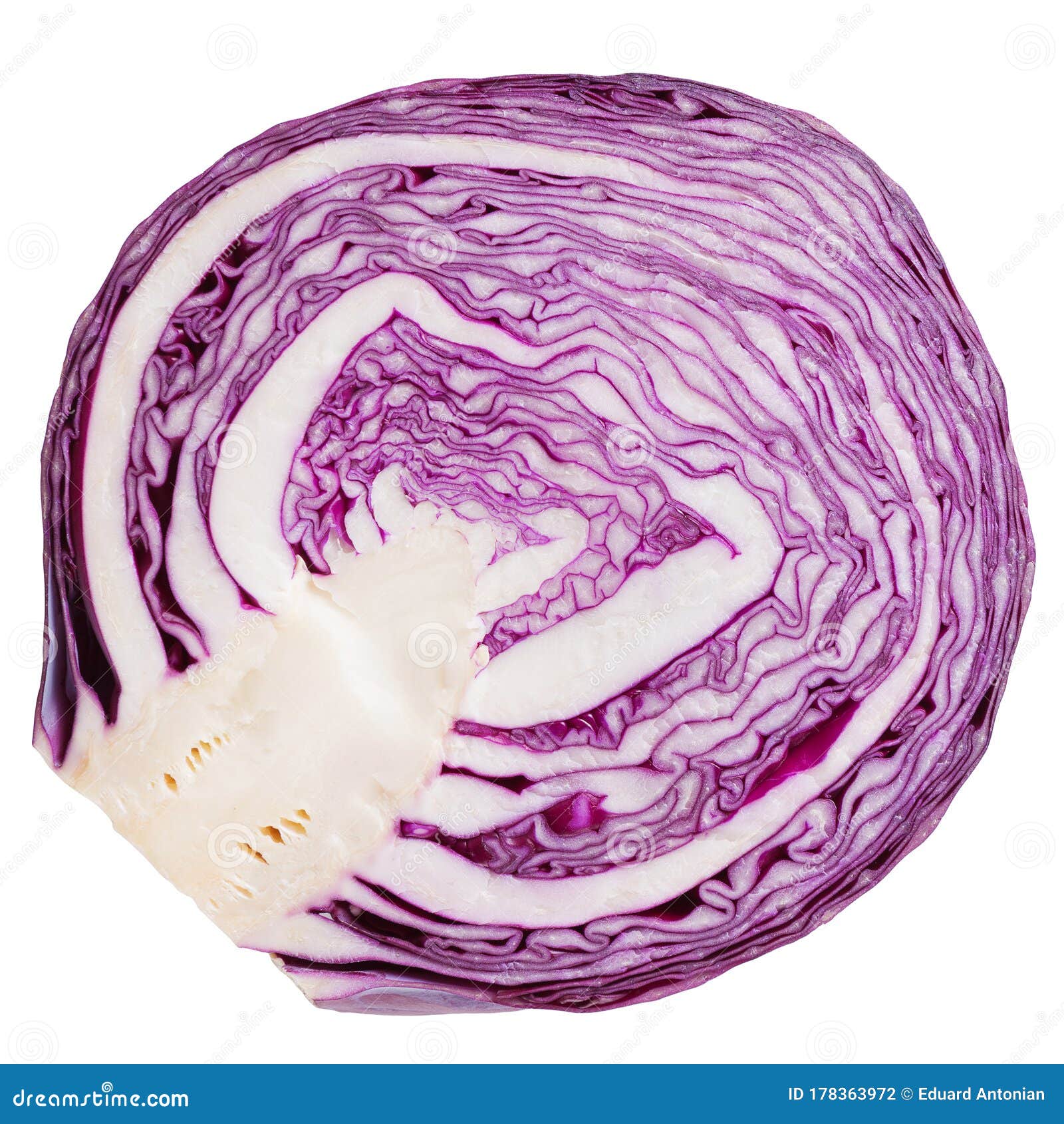 Half of Purple Cabbage Lies Frontally, on a White Background, the ...