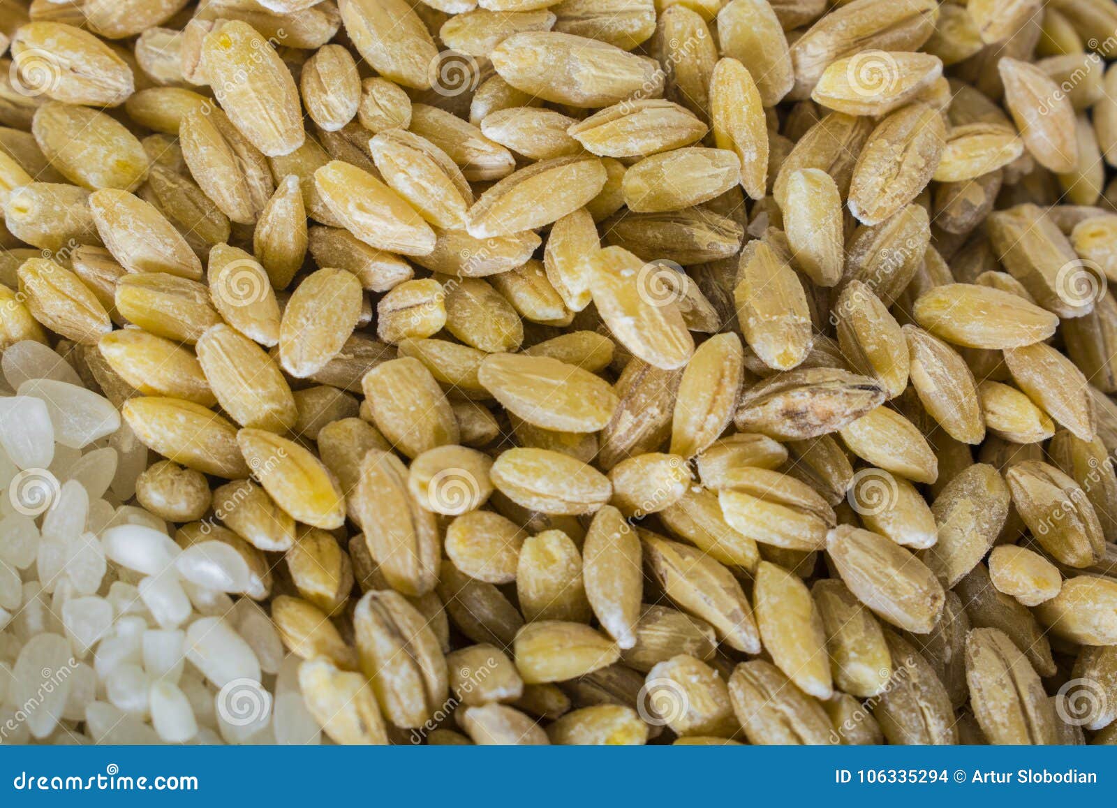 Half Rice Half Grain Wheat Background Stock Photo - Image of brown ...