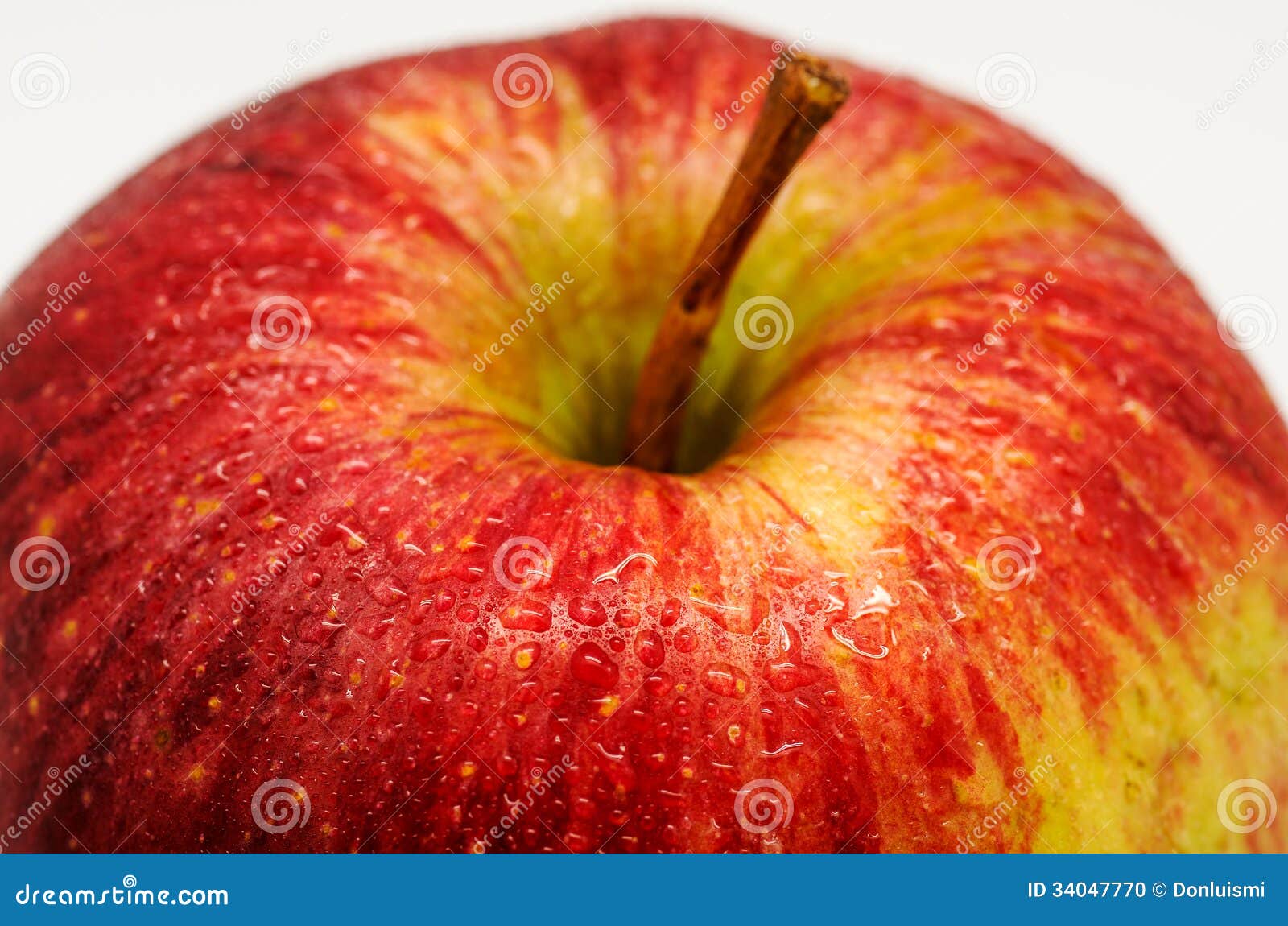 Half red apple stock photo. Image of healthy, fruit, closeup - 34047770