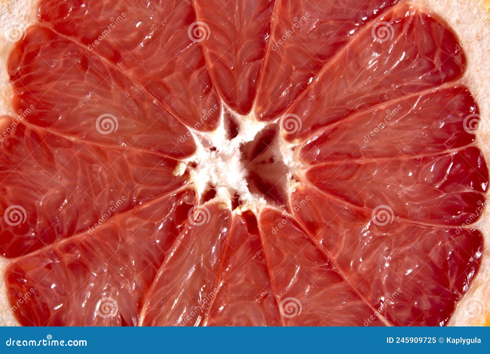 Texture of Sliced Grapefruit Stock Image - Image of healthy, circle ...