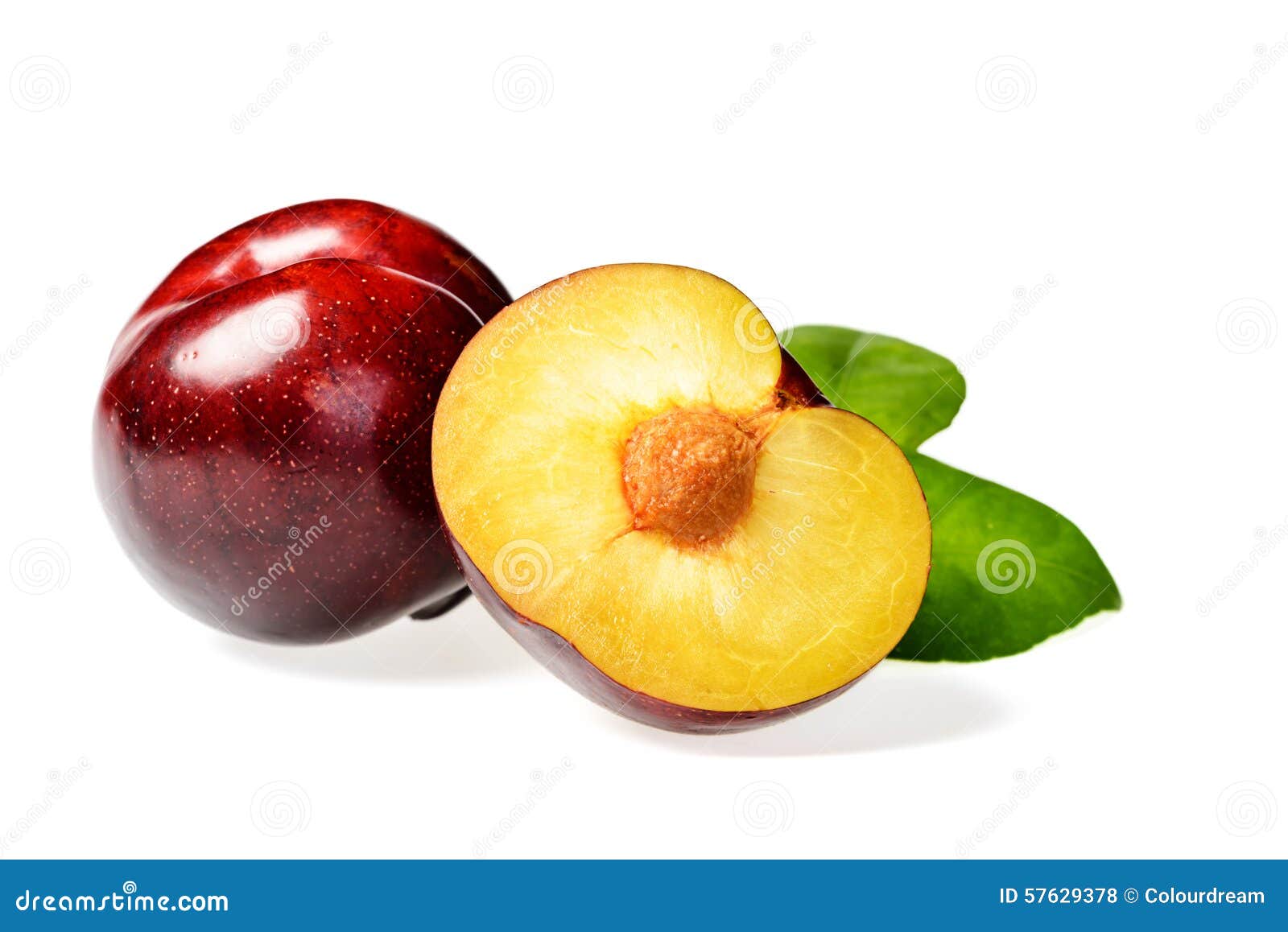 Half of red plum stock photo. Image of group, peel, shift - 57629378