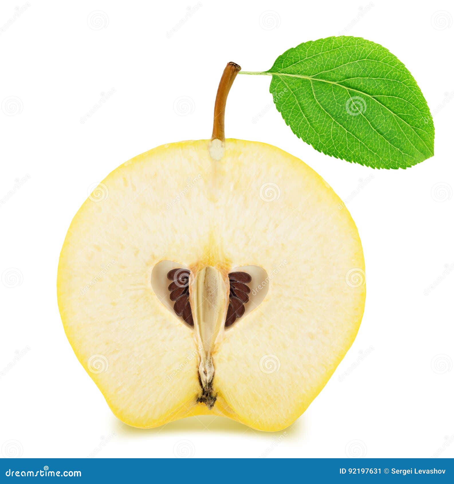 Half of Ripe Apple-quince with Leaf Isolated Stock Image - Image of ...