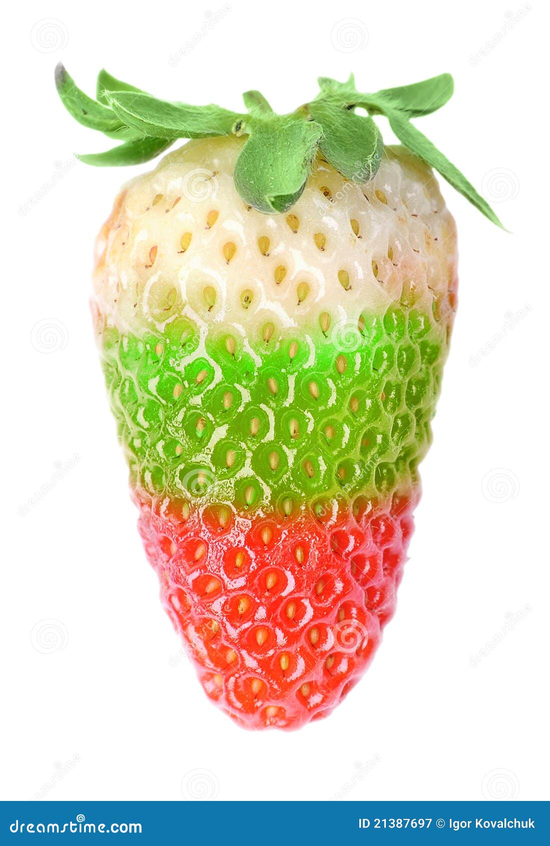 Half ripe strawberry stock image. Image of freshness - 21387697