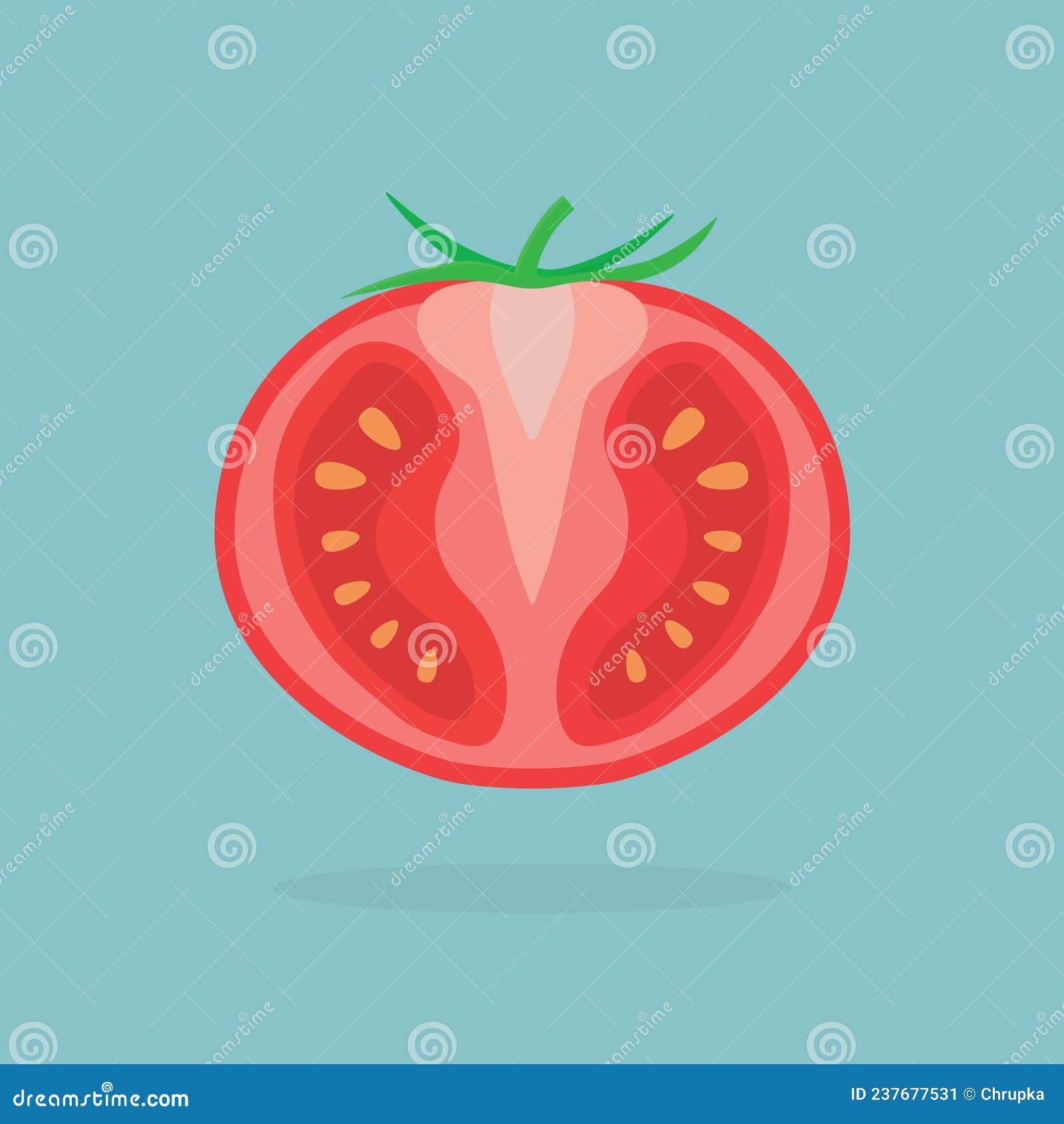 Half of ripe tomato stock vector. Illustration of tomato - 237677531