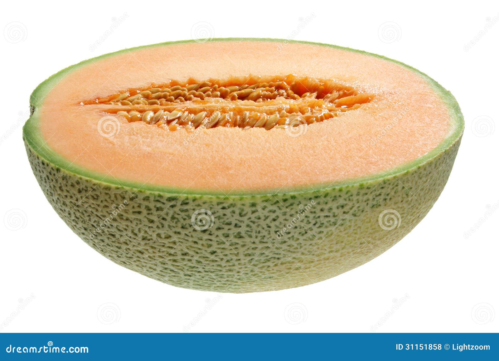 Half of Rock Melon stock photo. Image of seeds, healthy - 31151858