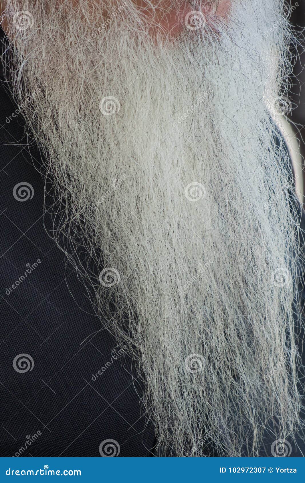 Long white beard stock image. Image of white, portrait - 102972307