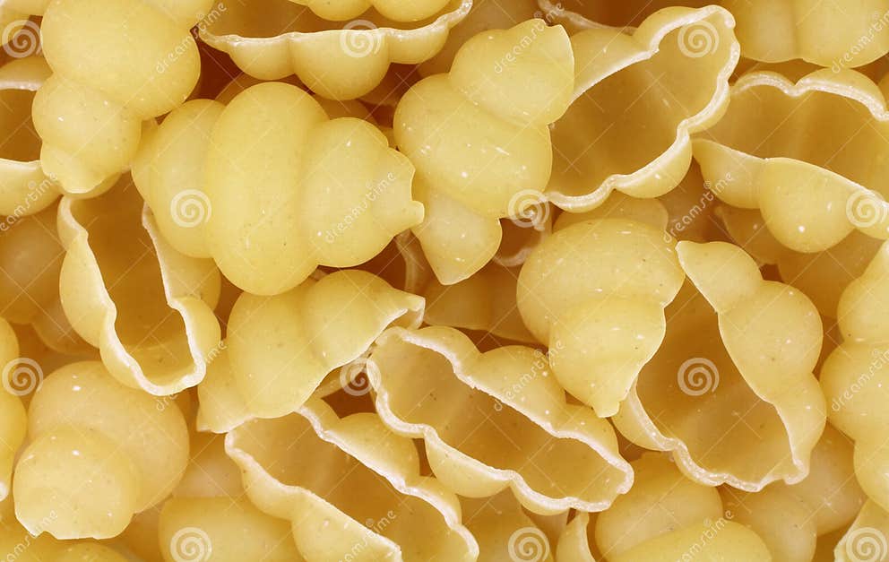 Half Shell Shaped Pasta Close View Stock Photo - Image of nutritious ...