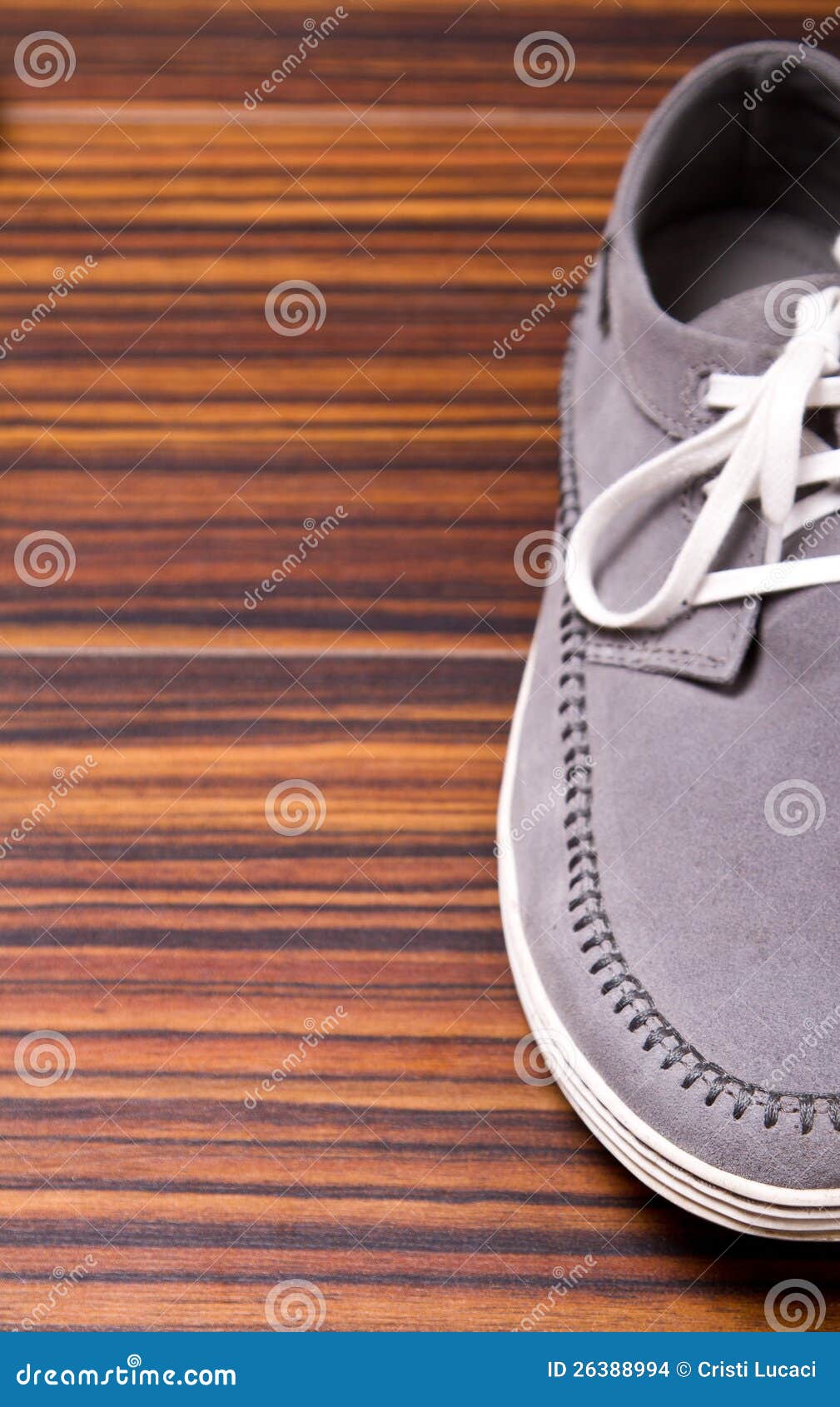 Half shoe stock photo. Image of grey, luxury, symbol - 26388994