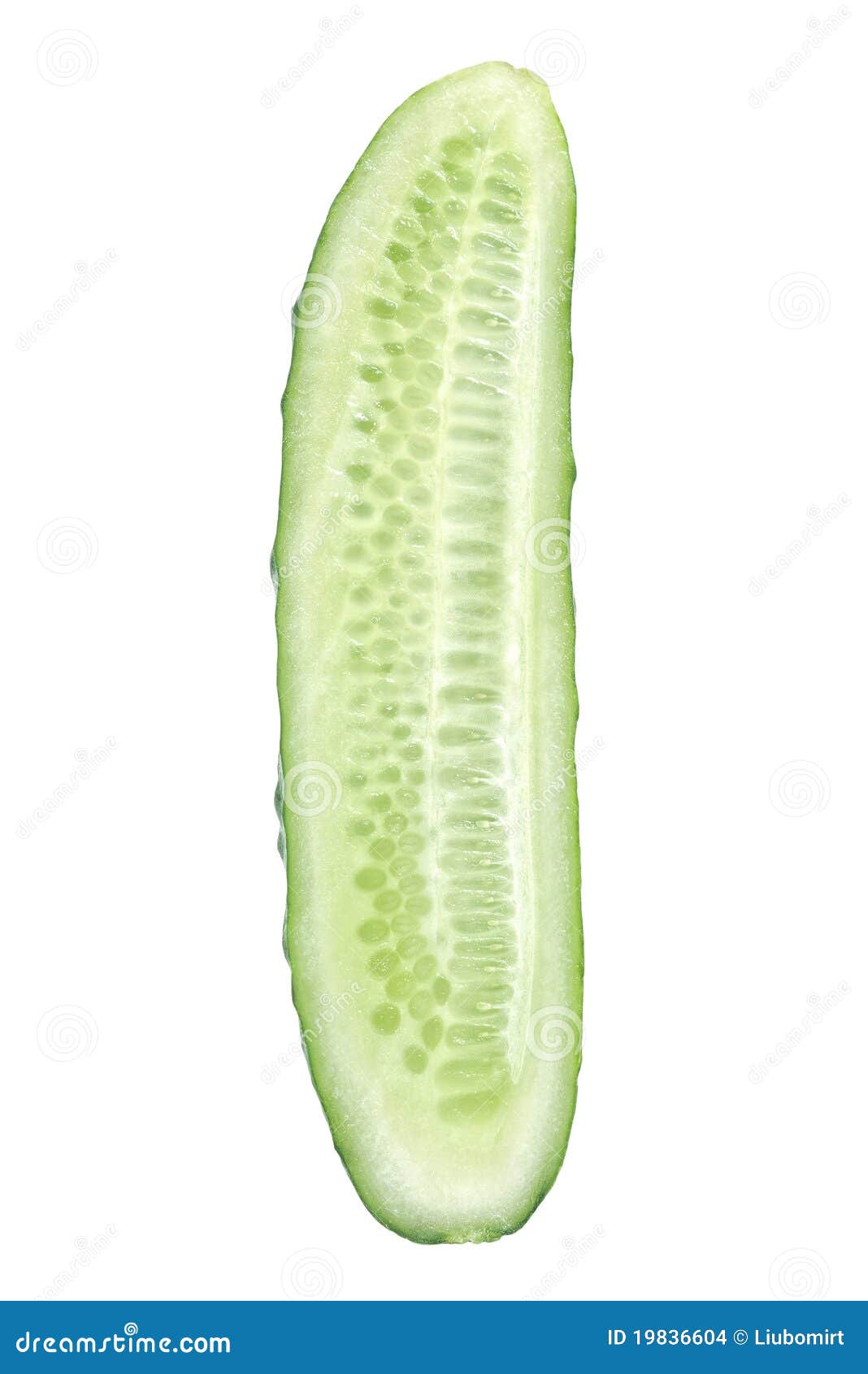 Half of sliced cucumber stock photo. Image of sliced - 19836604
