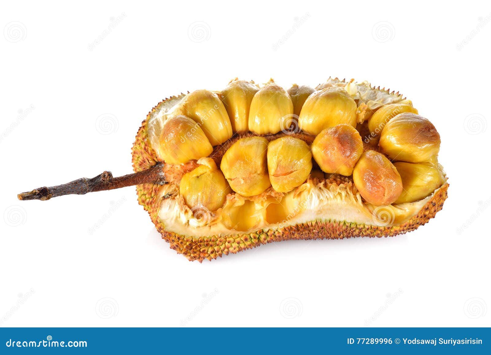 Half Split Ripe Cempedak with Stem on White Background Stock Photo ...