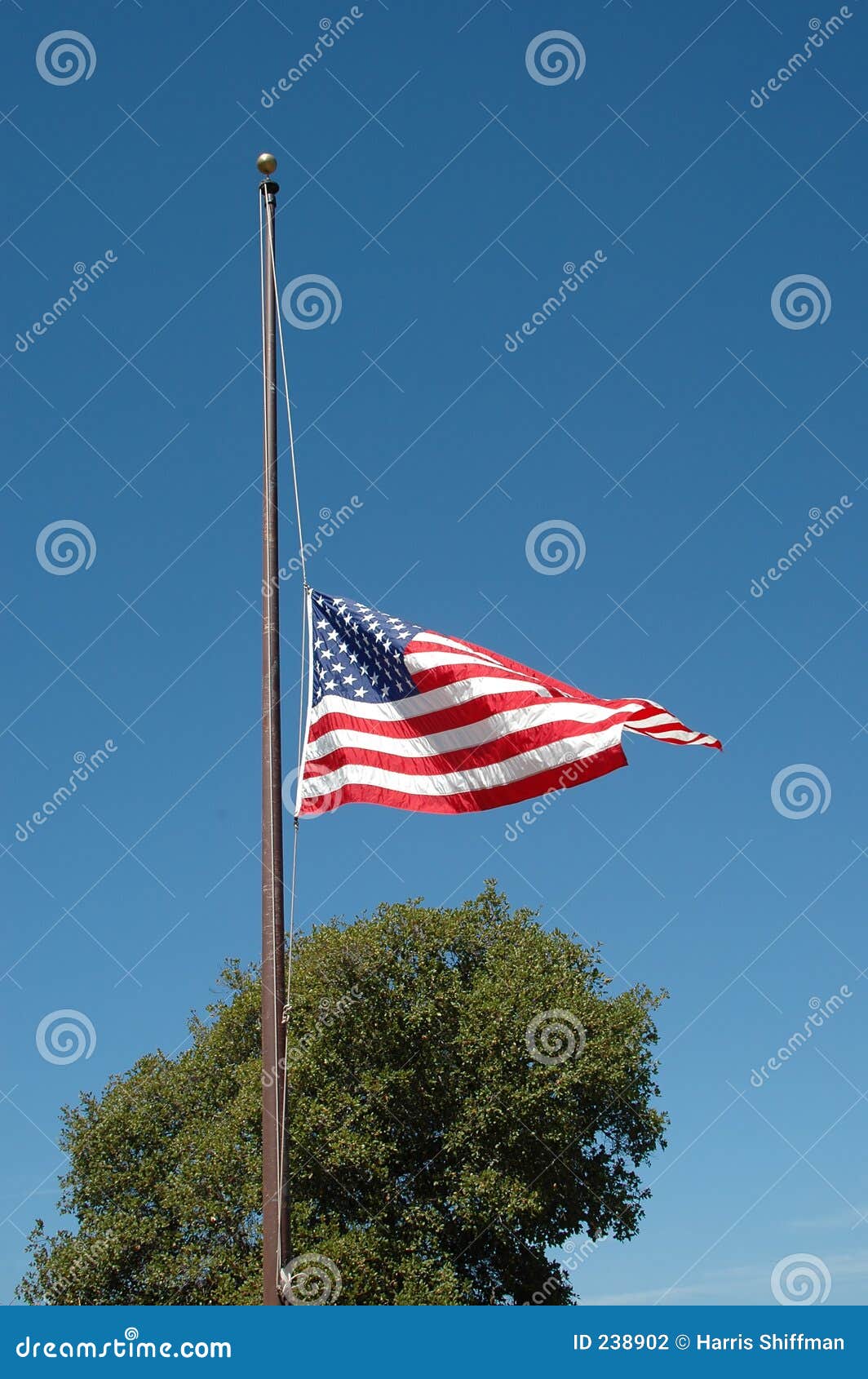Half staff stock photo. Image of memorial, american, united - 238902