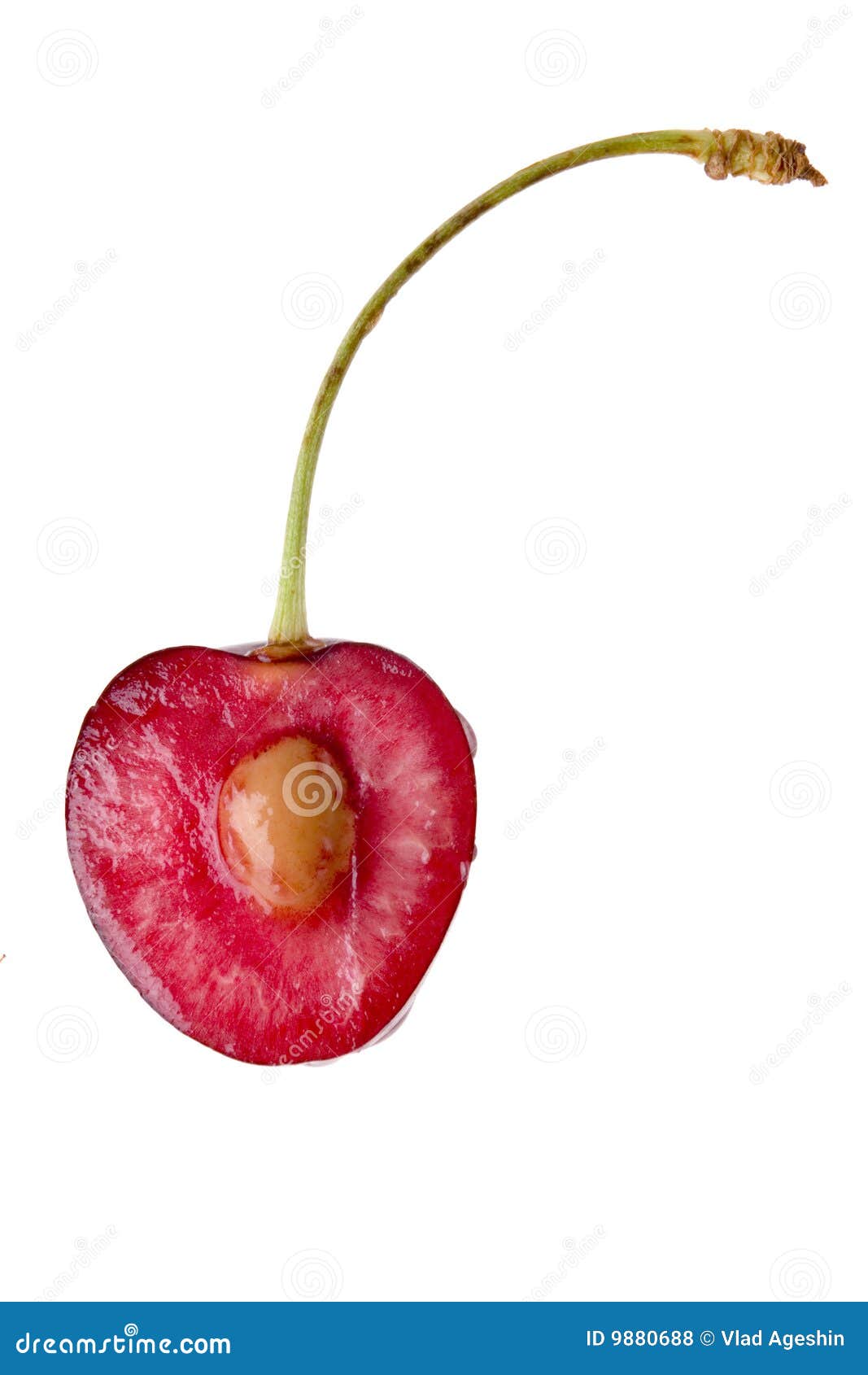 Half of sweety cherry stock photo. Image of ripe, summer - 9880688