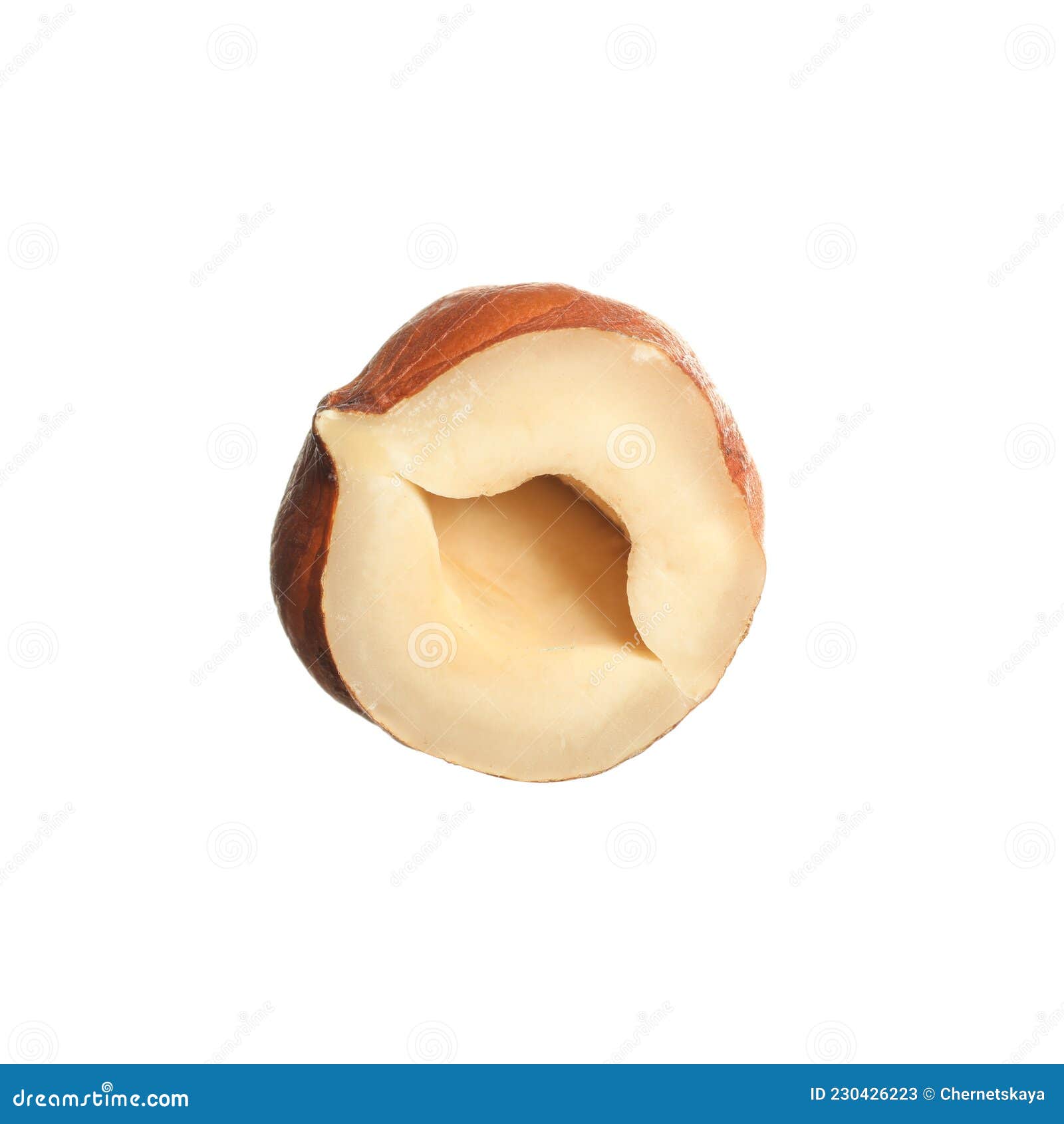 Half of Tasty Hazelnut Isolated on White Stock Image - Image of hazel ...