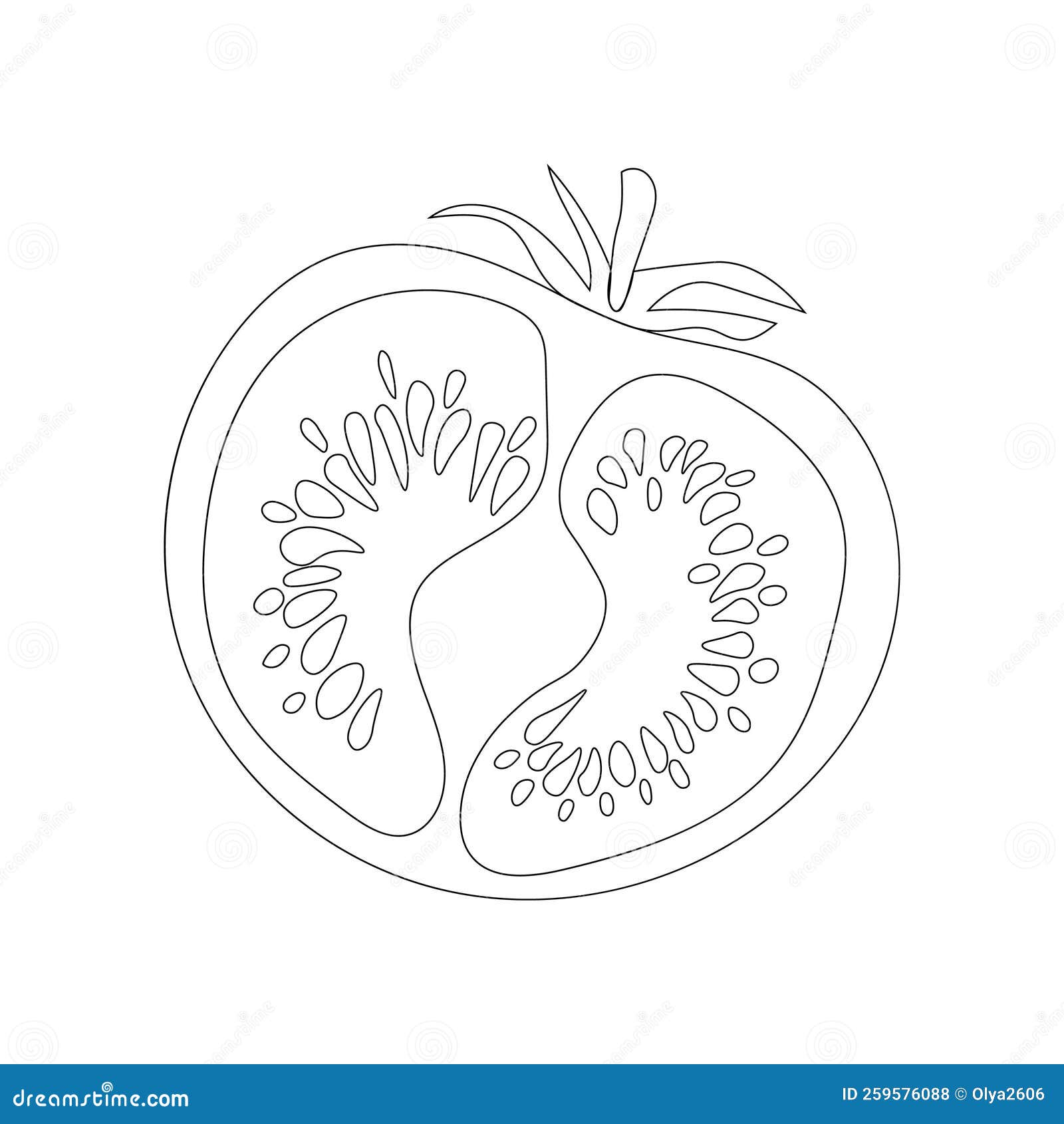 Half Tomato Slice Outline in Cartoon Style Stock Vector - Illustration ...