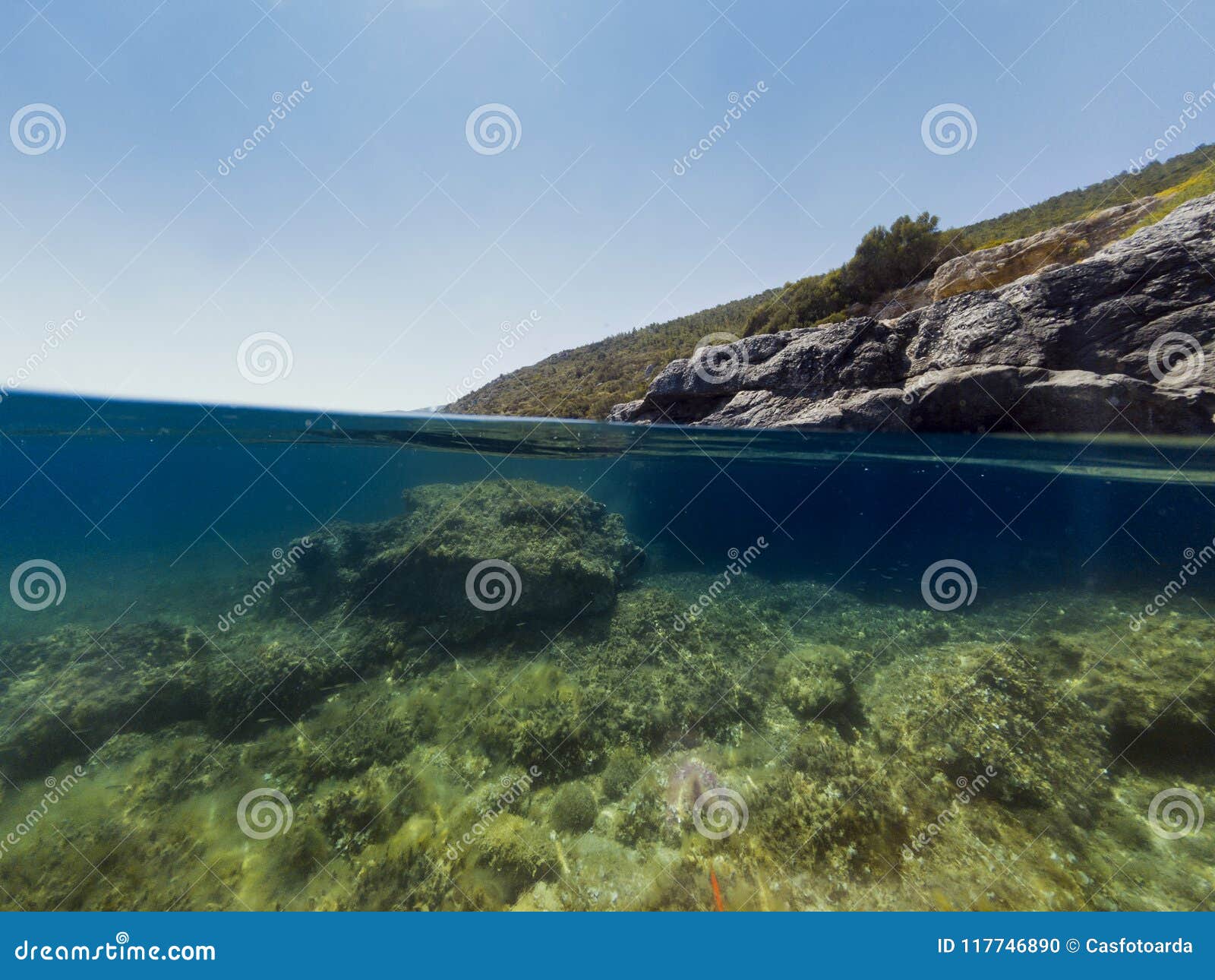 Half Underwater in the Sea. Stock Photo - Image of rocky, stony: 117746890