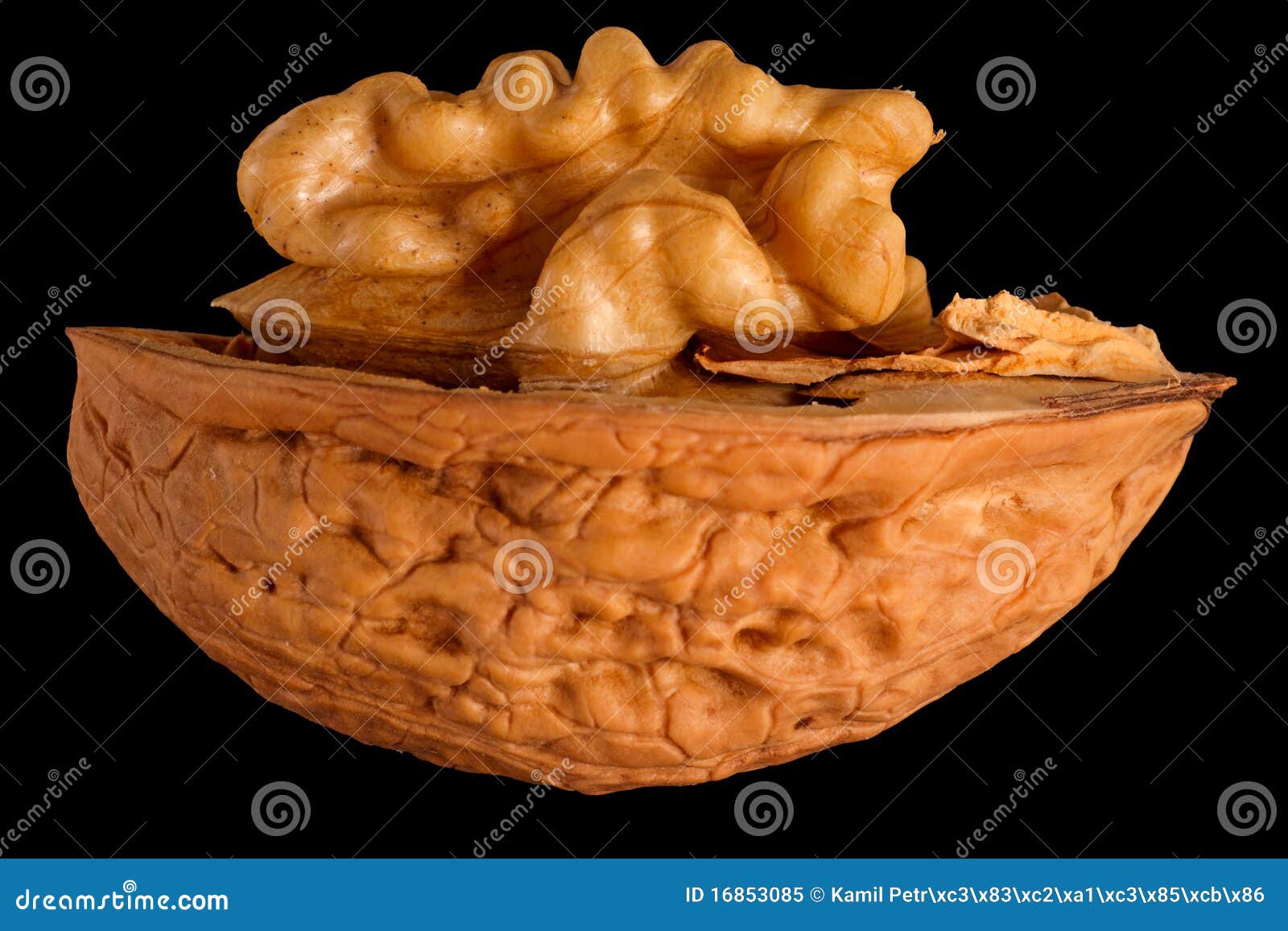 Half of walnut stock image. Image of seasonal, nature - 16853085