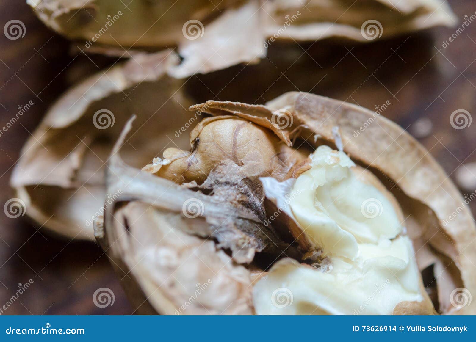 Half a walnut core macro stock photo. Image of fresh - 73626914