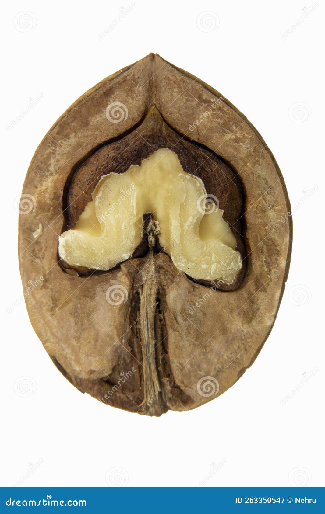 Half of Walnut, Isolated on White Background Stock Image - Image of ...