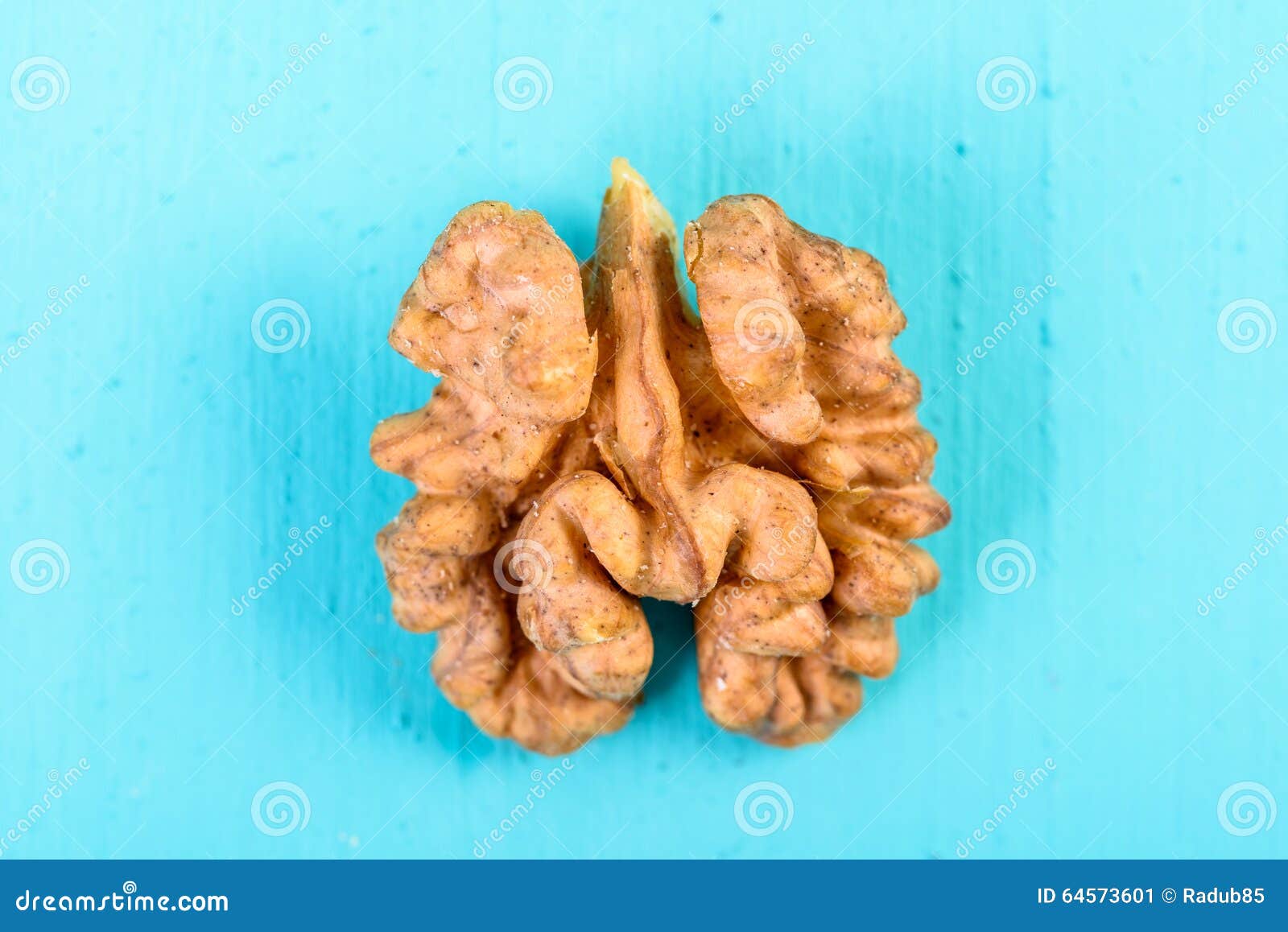 Half Walnut Kernel on Blue stock image. Image of kernel - 64573601