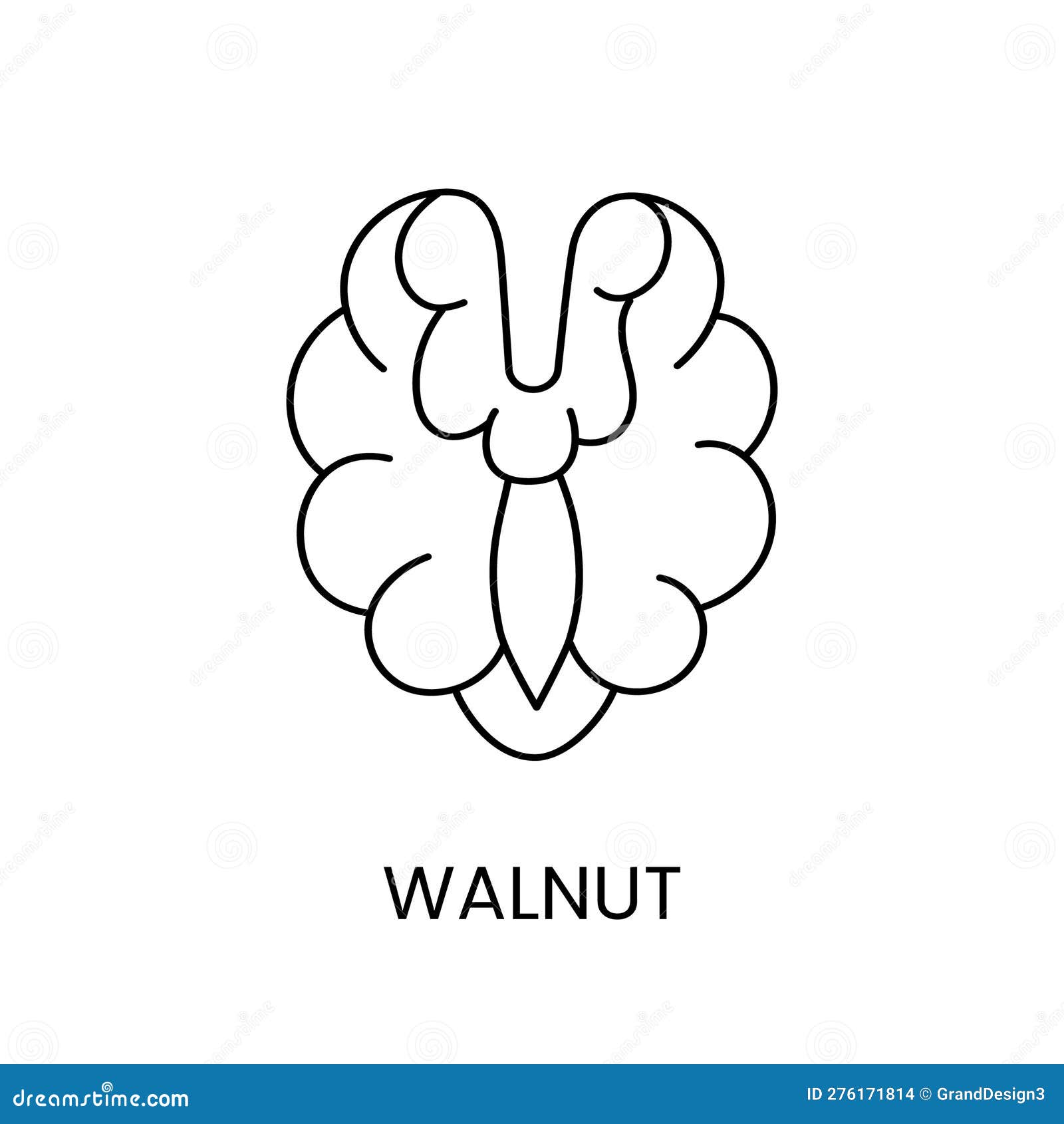Half Walnut Line Icon in Vector, Nuts Illustration. Stock Vector ...