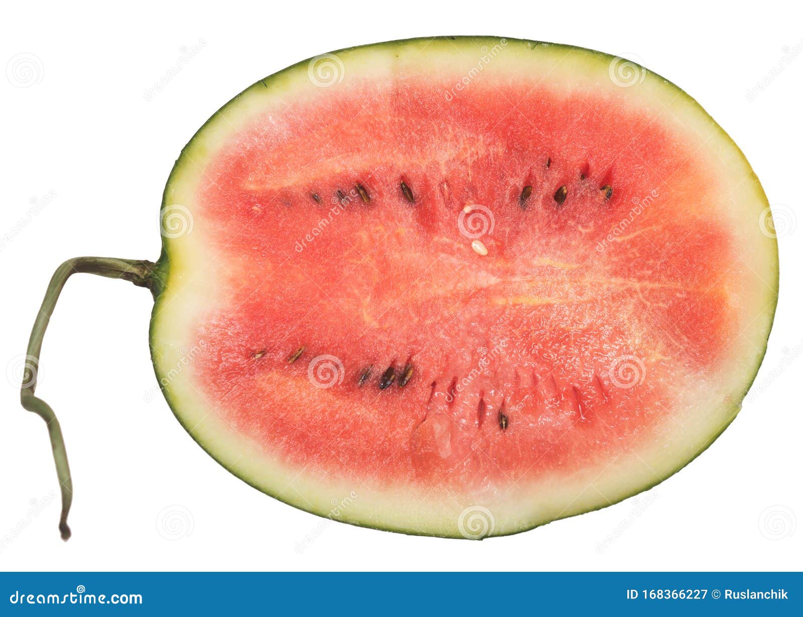 Half of watermelon stock image. Image of health, vegetarian - 168366227
