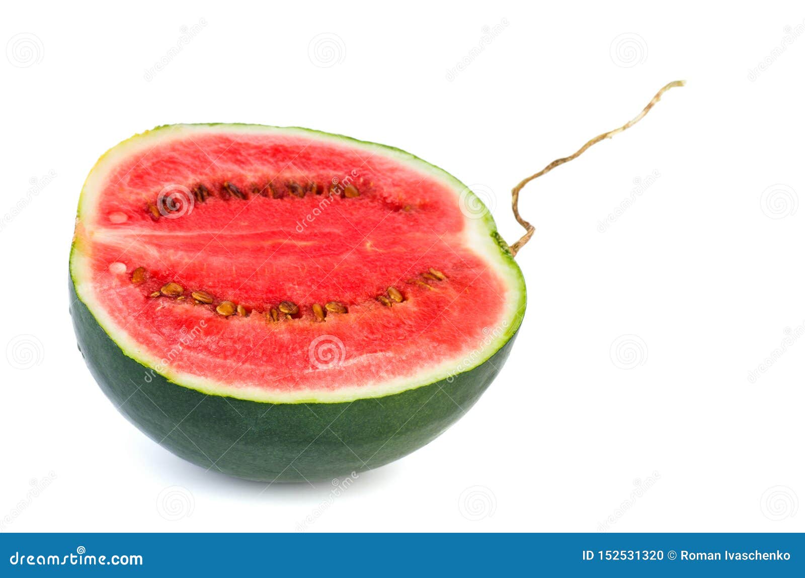 Half of watermelon stock photo. Image of healthy, vegan - 152531320