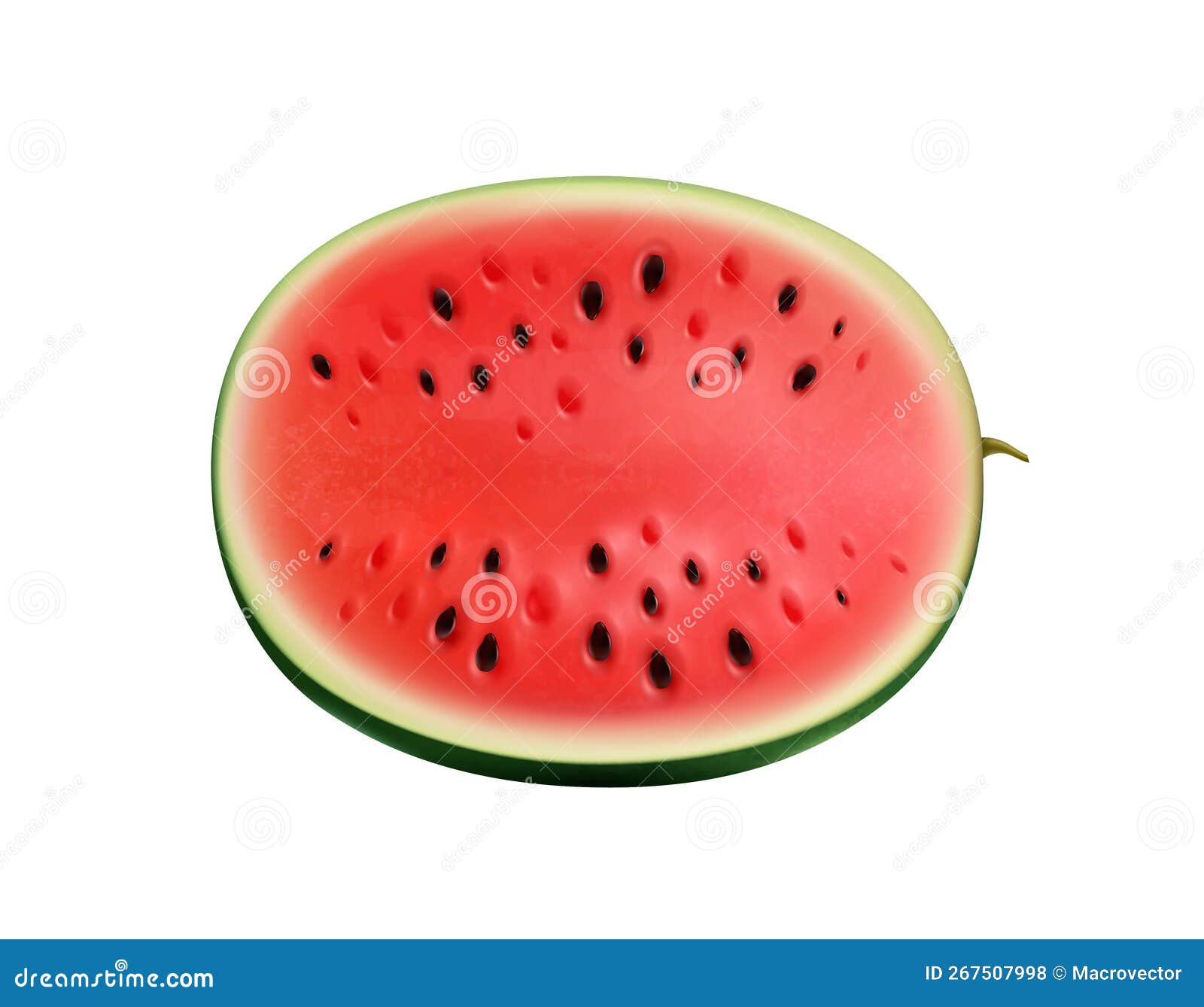 Half Watermelon Realistic Composition Stock Illustration - Illustration ...
