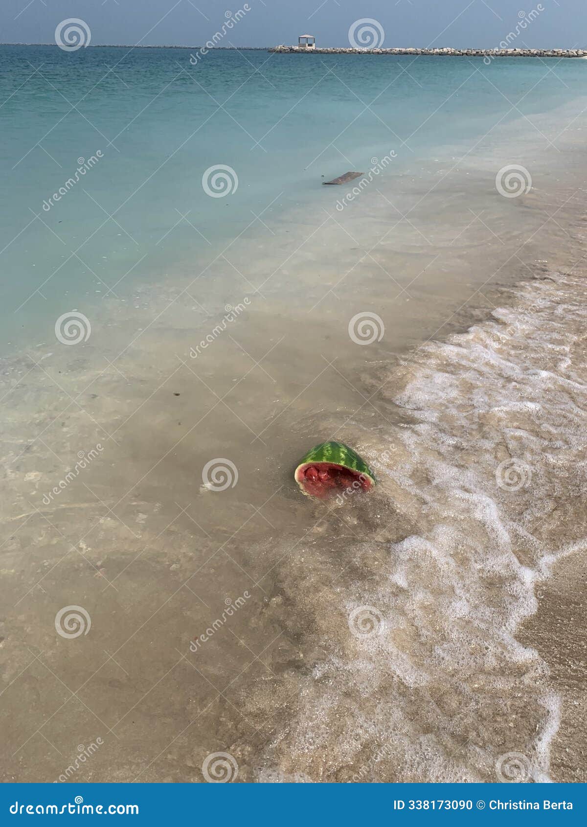 Half a Watermelon Washed Up on the Beach Stock Photo - Image of river ...