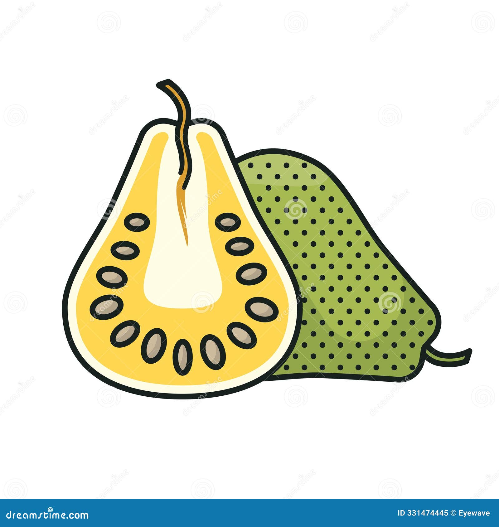 Half and Whole Jackfruit Isolated Vector Illustration Stock ...