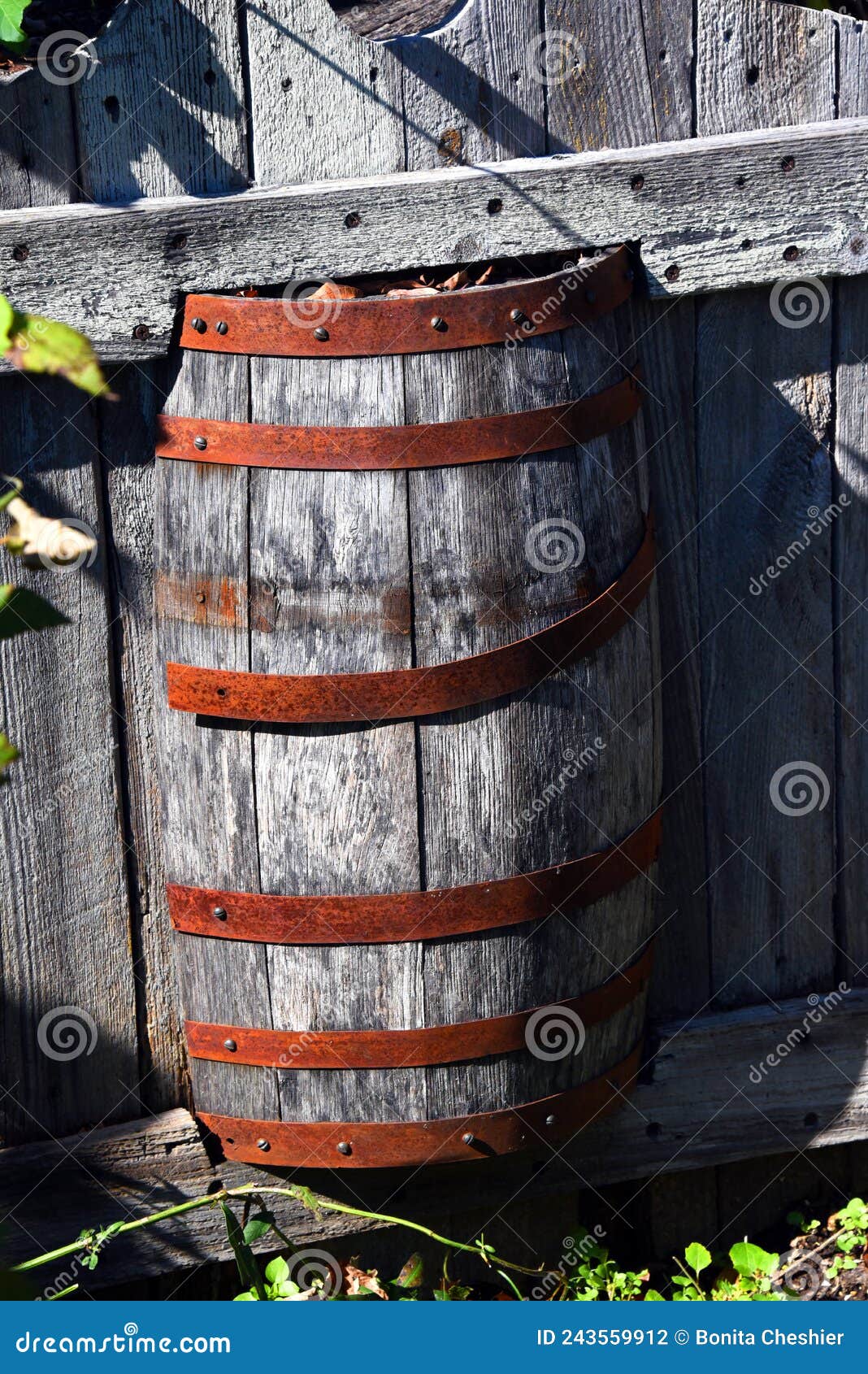 Half of a Wooden Barrel on Gate Stock Photo - Image of metal, weathered ...