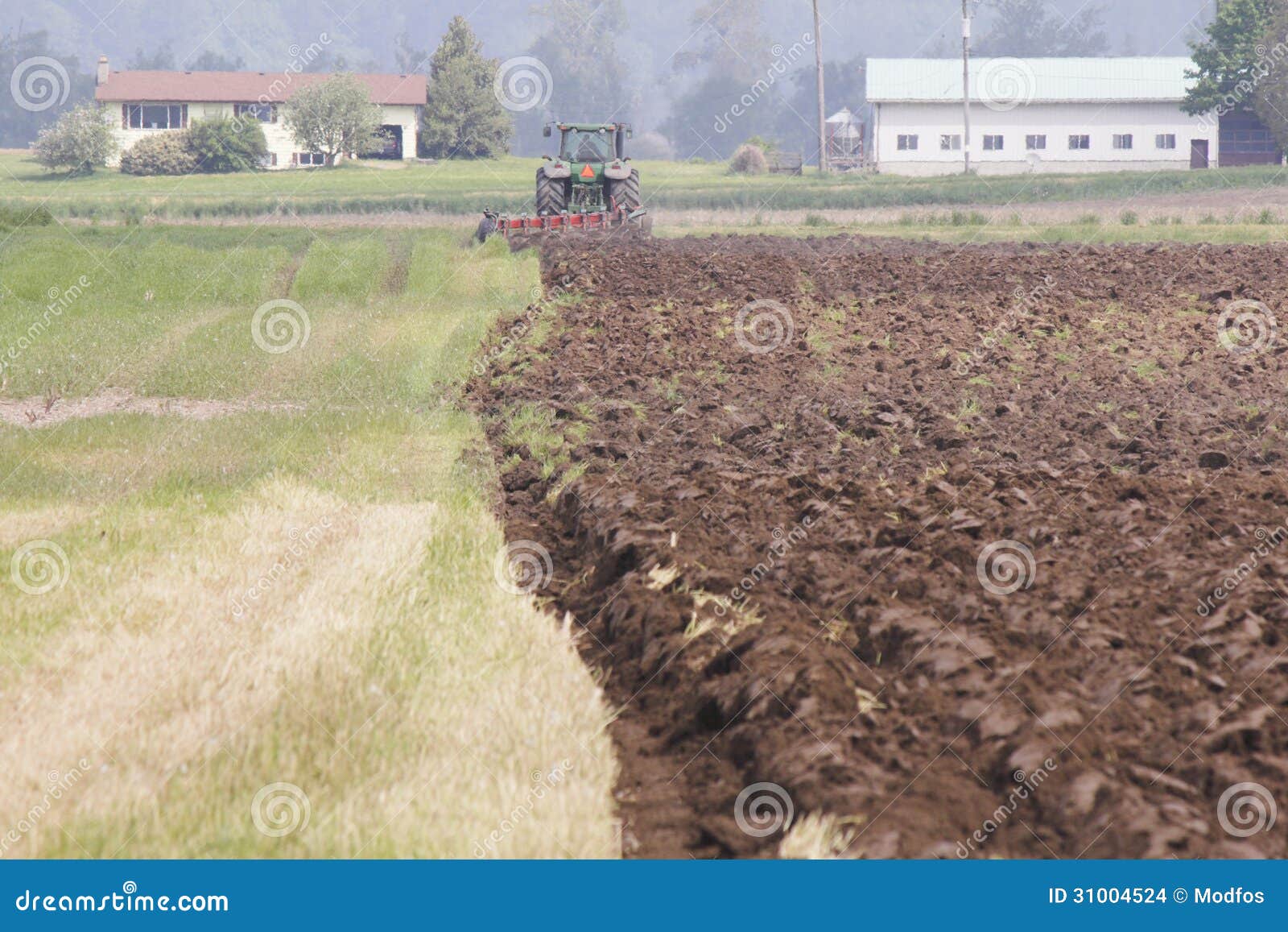 Halfway Done stock photo. Image of line, cultivation - 31004524