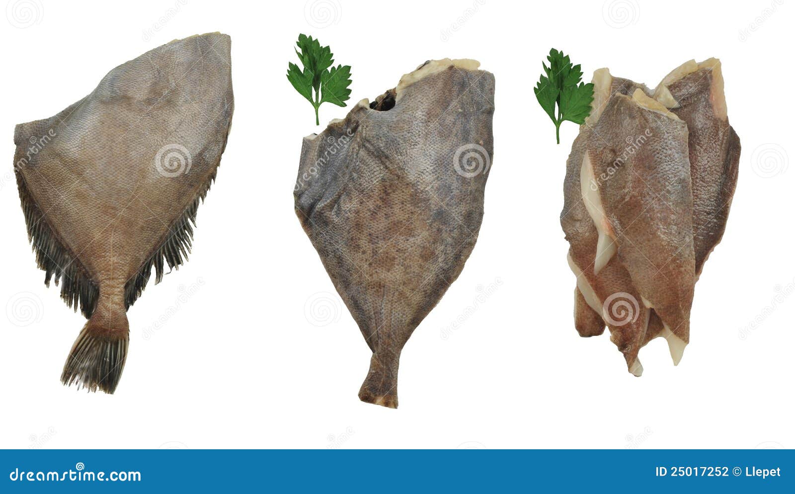 Cutting Fish Stock Illustrations – 6,683 Cutting Fish Stock ...