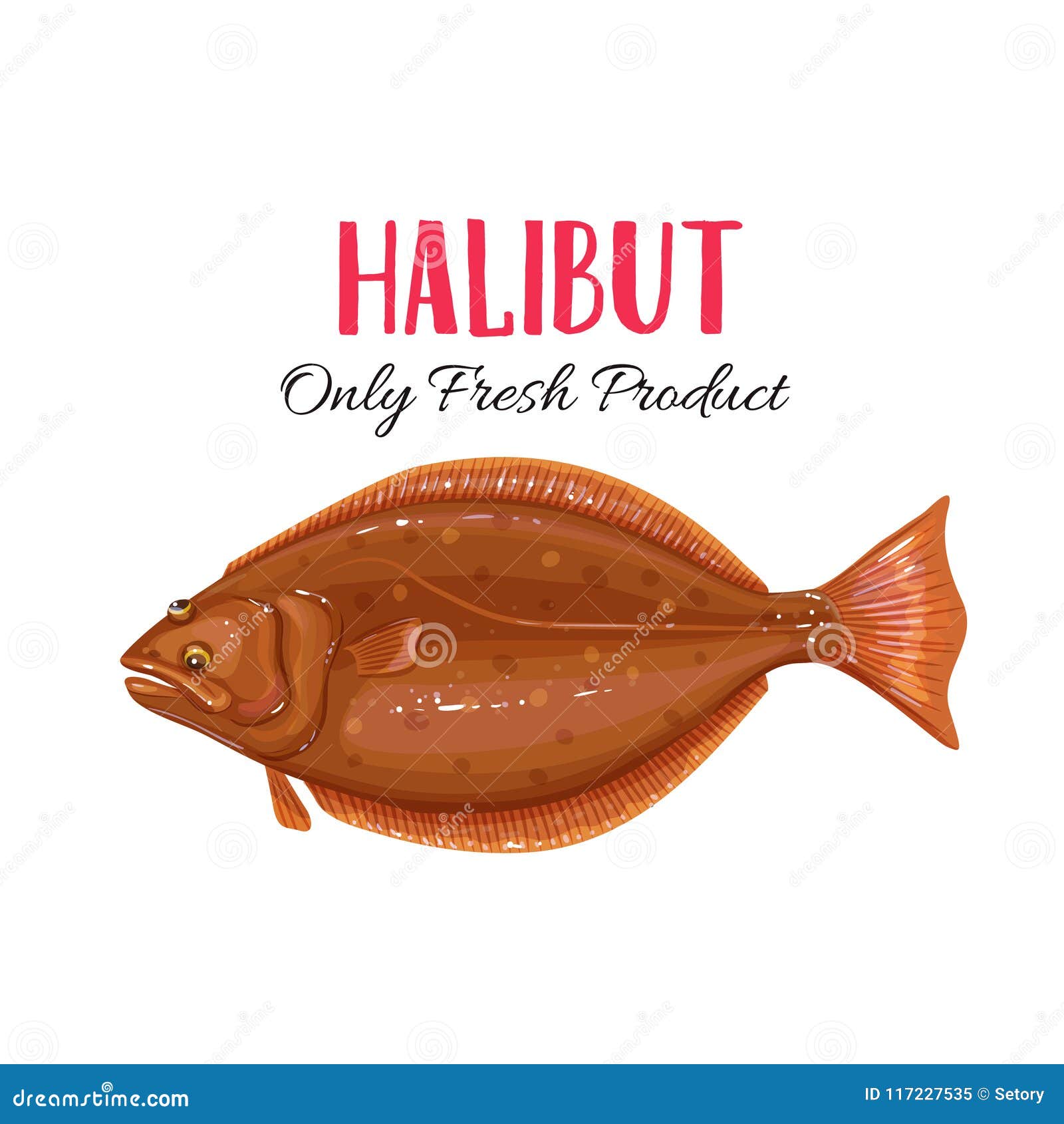 Halibut del vector ilustración del vector. Ilustración de aislado ...