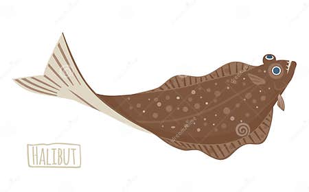 Halibut Vector Illustration, Cartoon Style Stock Vector - Illustration ...